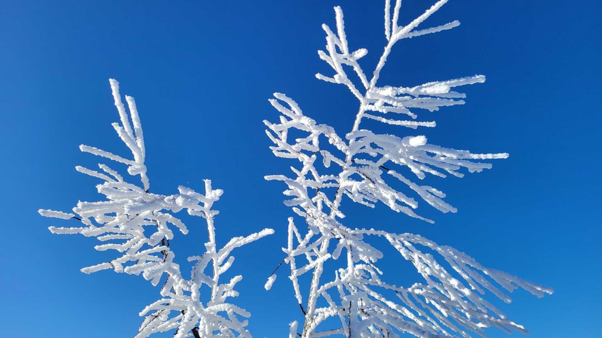 車山 ゆる山歩⛄️ / むぎさんの霧ヶ峰・車山・大笹峰の活動データ | YAMAP / ヤマップ