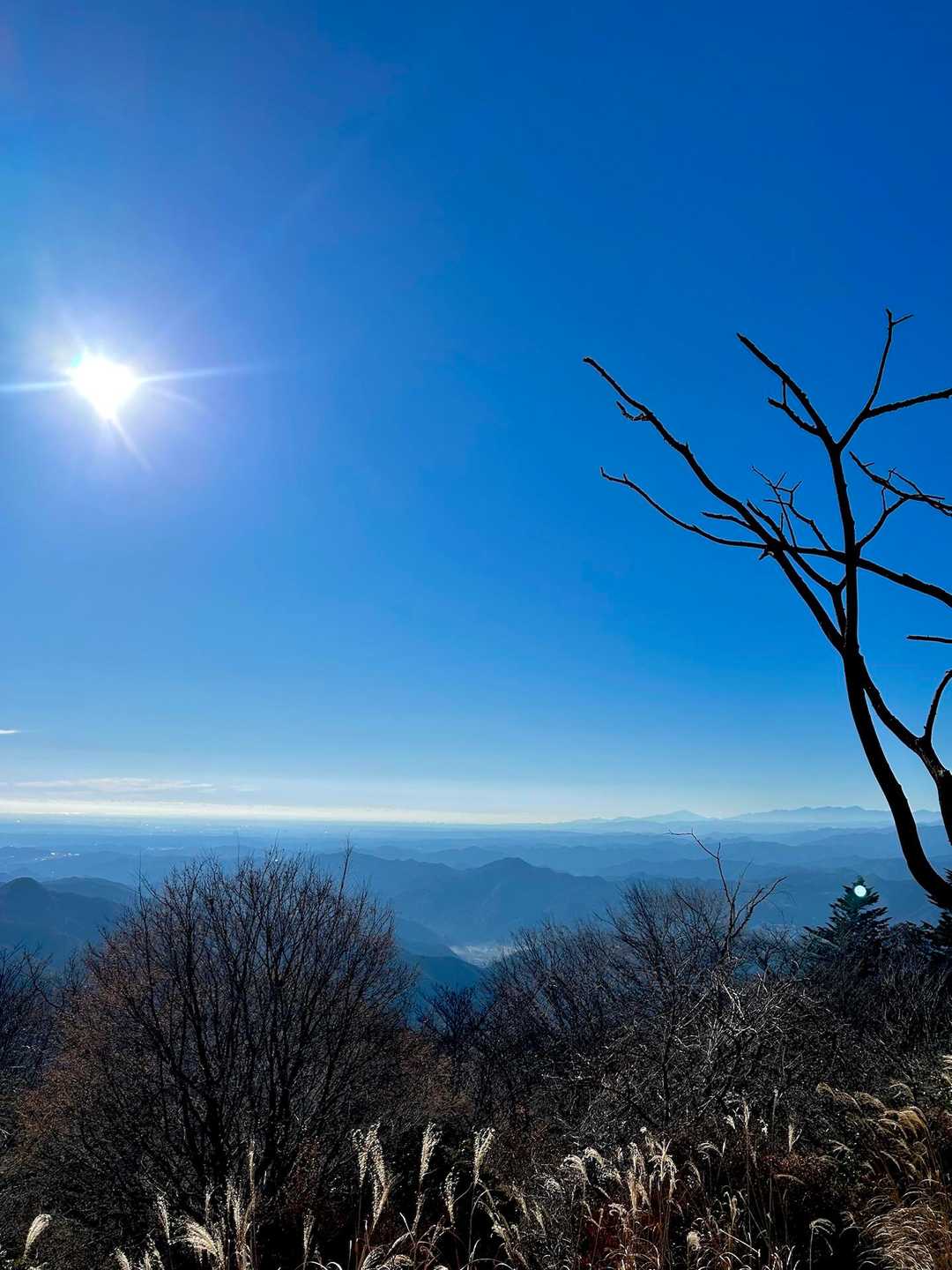 高山不動〜奥院(関八州見晴台) / mimさんの関八州見晴台の活動データ | YAMAP / ヤマップ