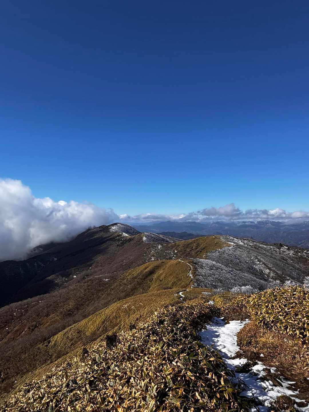 那岐山 / たまちゃんさんの那岐山・滝山・広戸仙の活動データ | YAMAP / ヤマップ