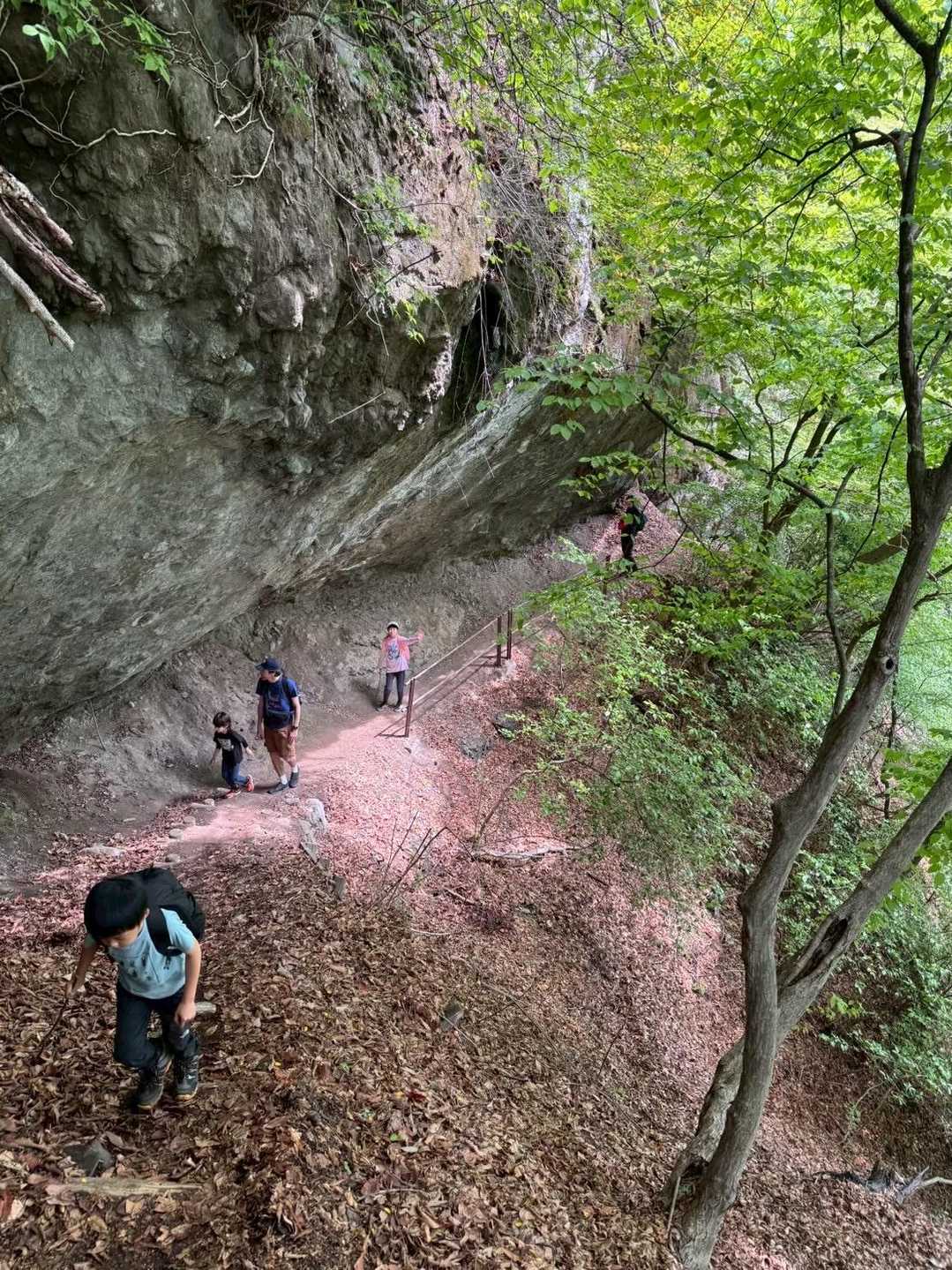 子供と。妙義山中間道。ヒルの山。 / Mt. Mari こどもと山のぼりさんの妙義山・天狗岳・相馬岳の活動データ | YAMAP / ヤマップ