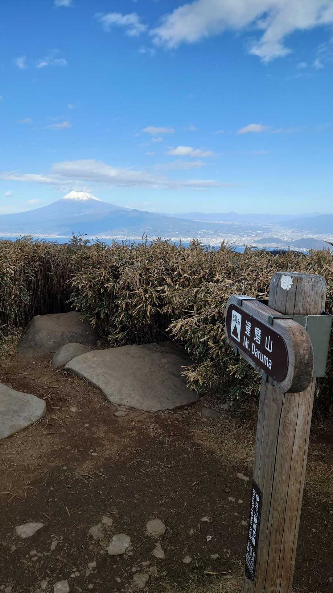 金冠山・小達磨山・達磨山 / ゆきじゅさんの金冠山・達磨山・葛城山の活動データ | YAMAP / ヤマップ