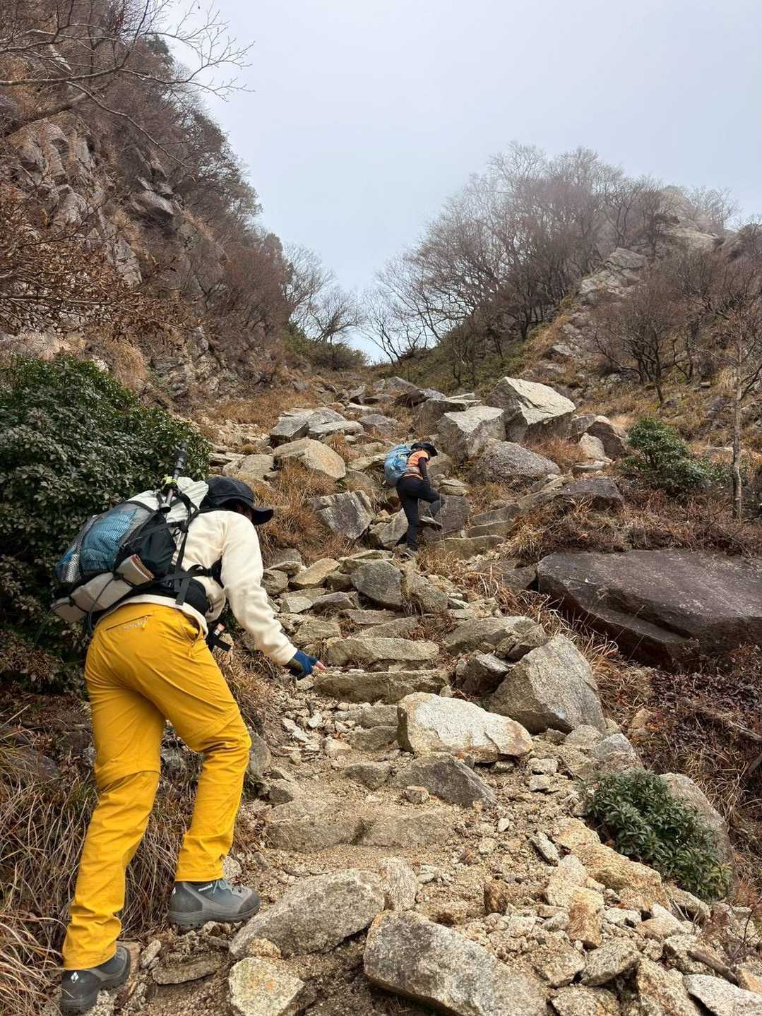 ずっと行きたかった鎌尾根〜 水沢岳（宮越山）・鎌ヶ岳 / macoさんの入道ヶ岳・鎌ヶ岳・仙ヶ岳の活動データ | YAMAP / ヤマップ