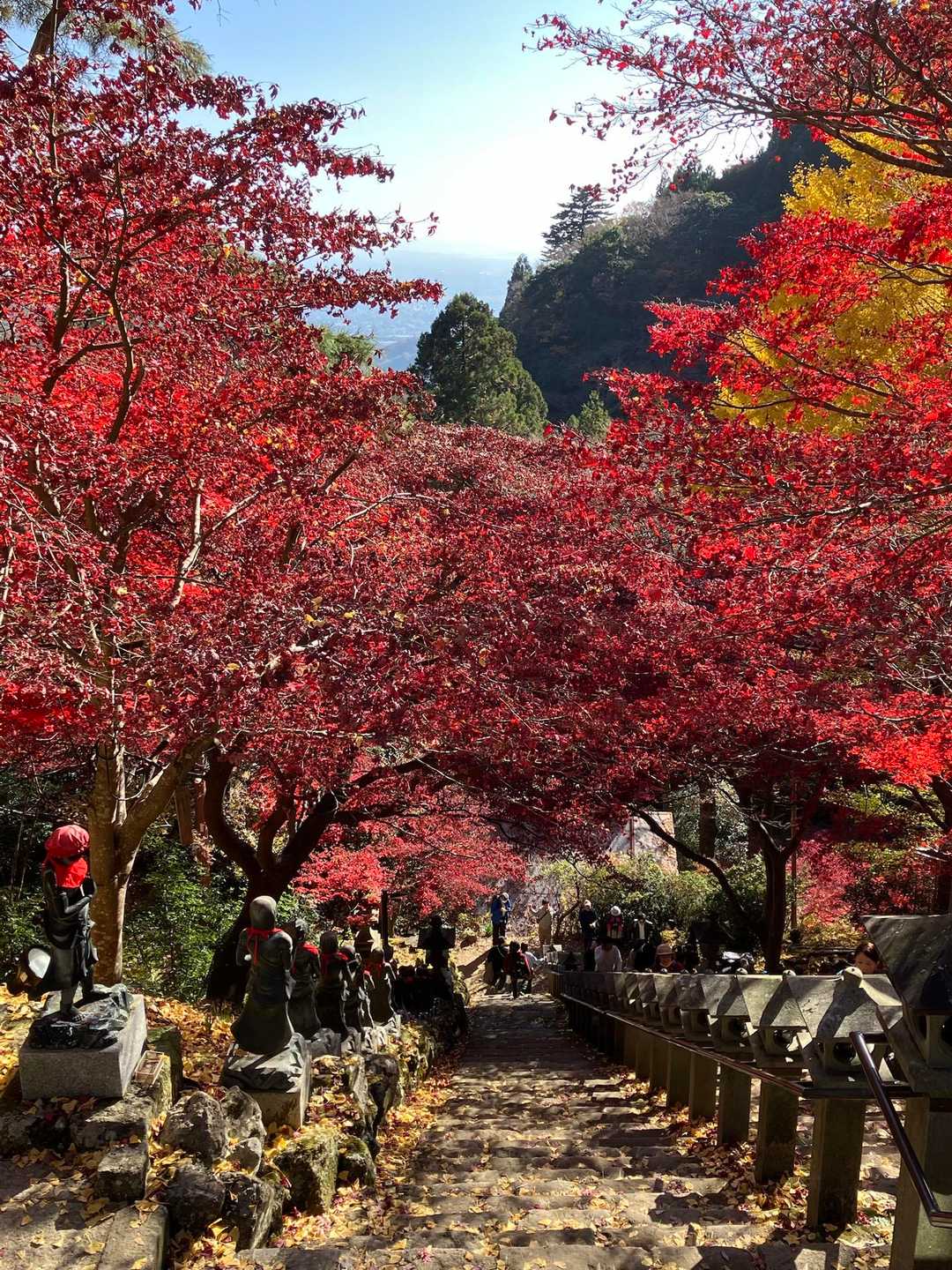 大山-2025-11-30 / Naoさんの大山の活動データ | YAMAP / ヤマップ