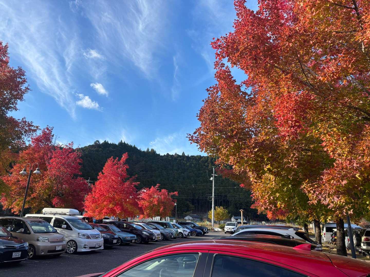 明神山（三津瀬明神山） 東栄温泉♨️④ / Jin.wさんの明神山（三ツ瀬明神山）の活動データ | YAMAP / ヤマップ