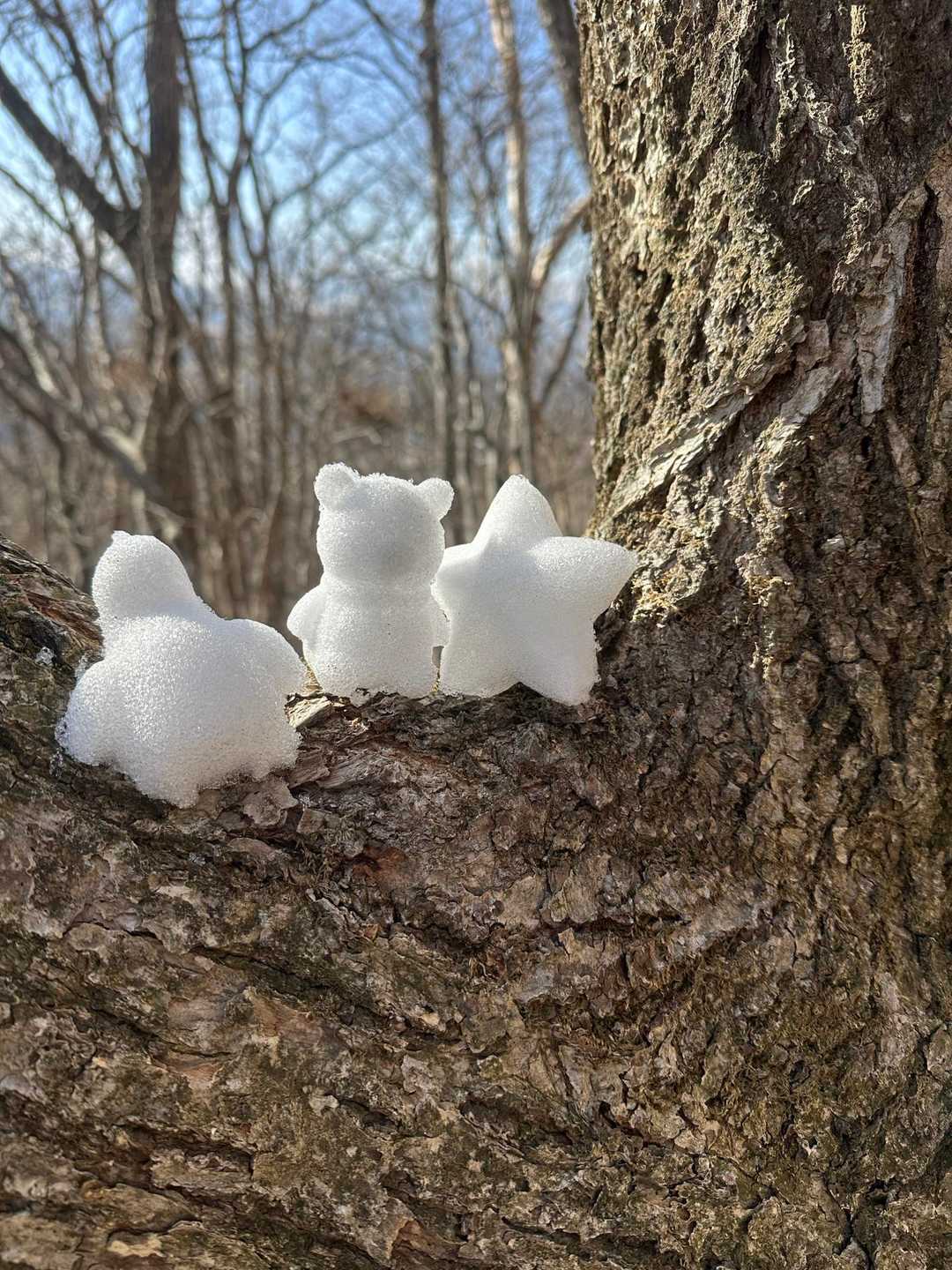 浅間隠山 / tkcさんの浅間隠山・駒髪山・丸岩の活動データ | YAMAP / ヤマップ