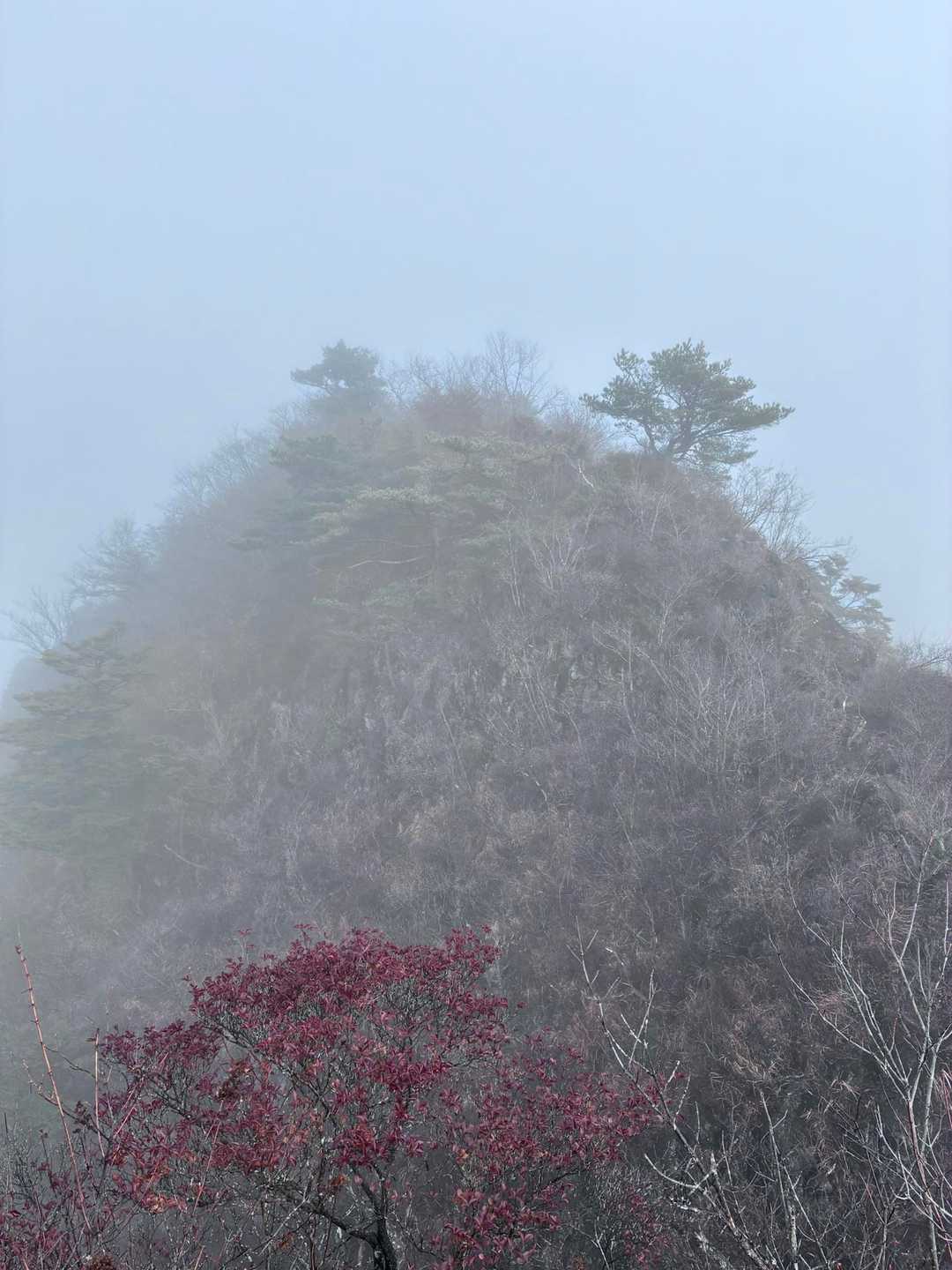 鹿岳（二ノ岳） / とりさんの鹿岳・黒滝山の活動データ | YAMAP / ヤマップ