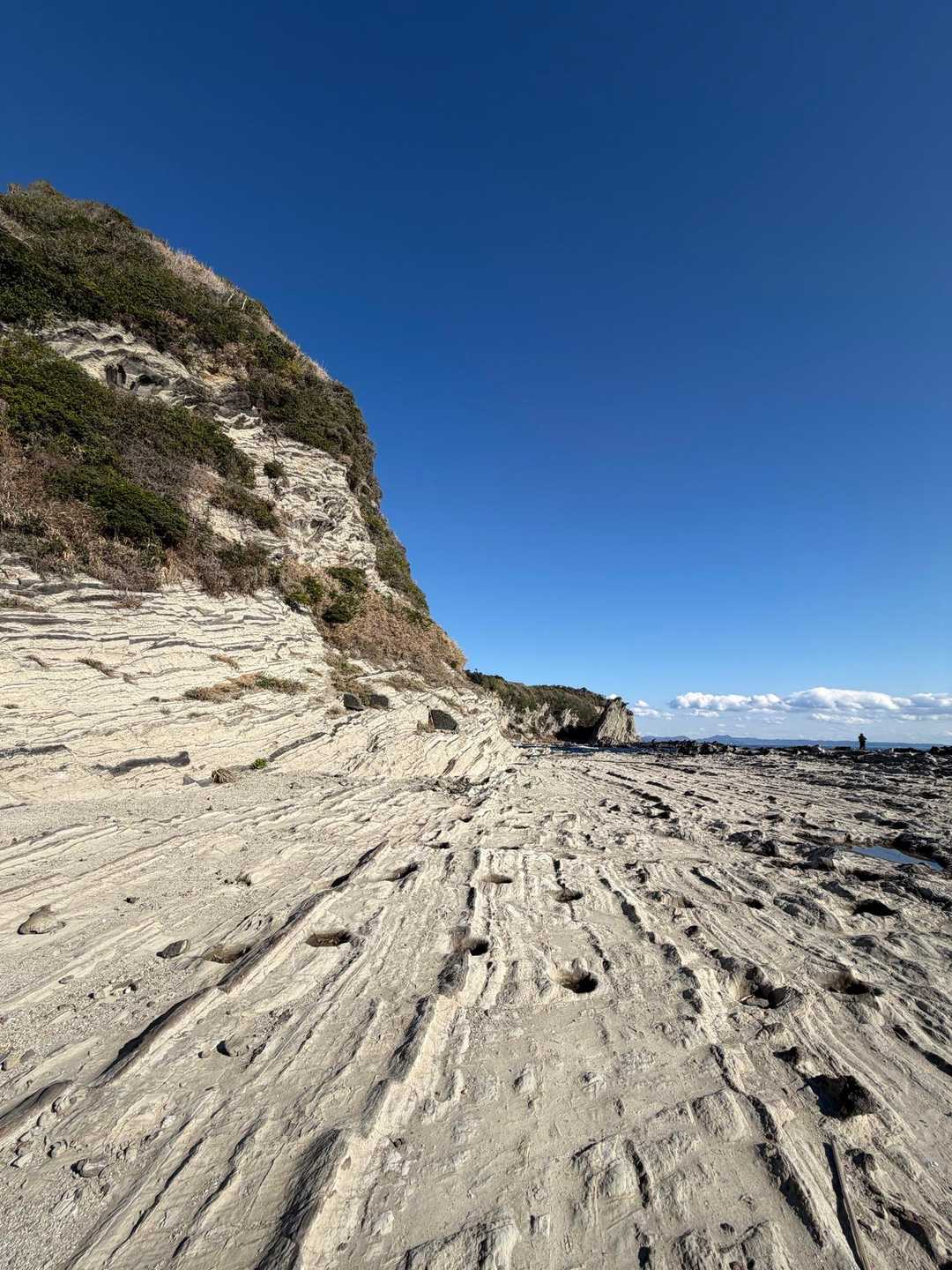ゆっくり三浦半島 関東ふれあいの道 / YTさんの三浦市・関東ふれあいの道（三浦・岩礁のみち, 油壺・入江のみち, 荒崎・潮騒のみち, 小網代 ...