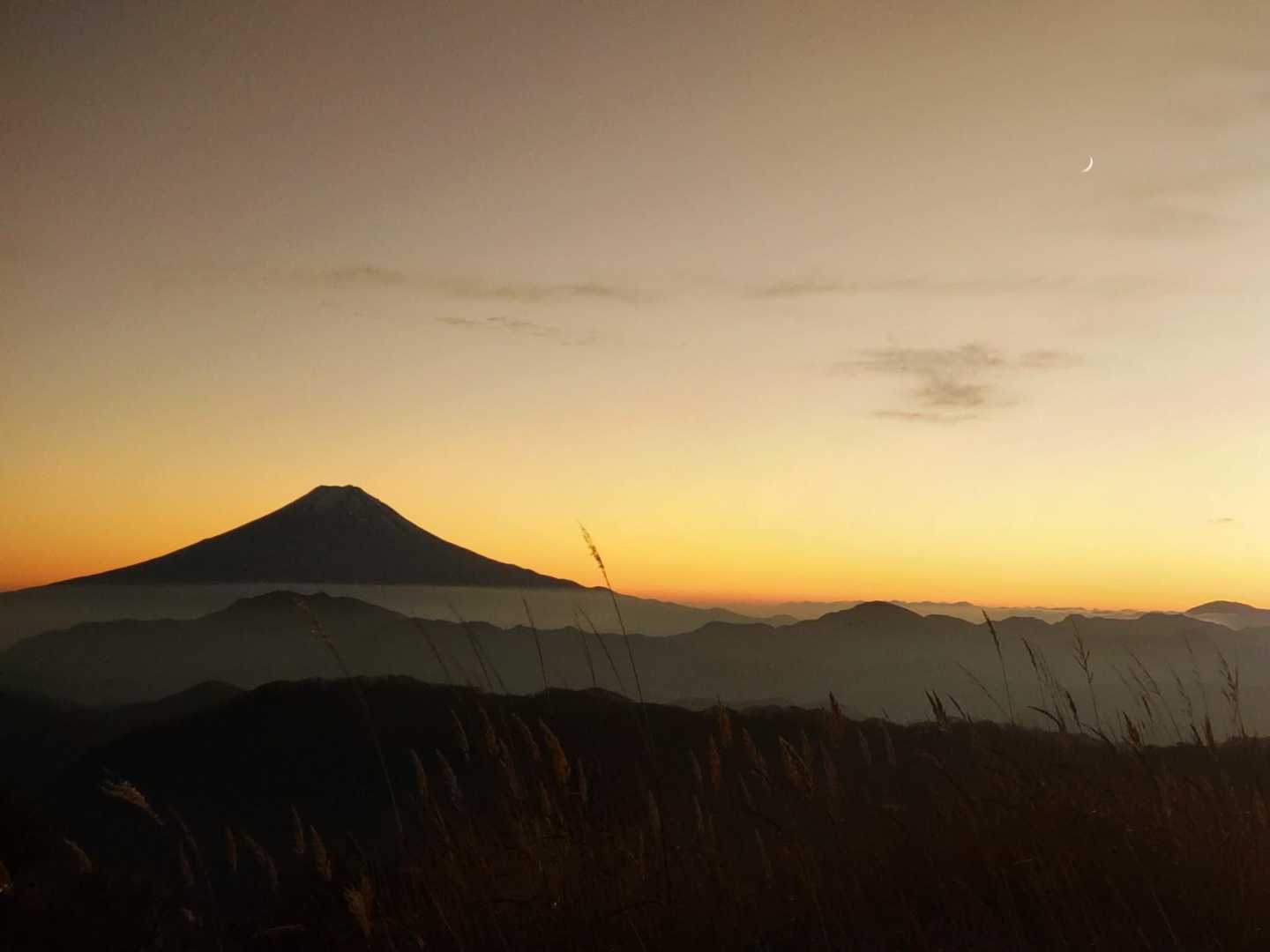 大菩薩連嶺(富士見山歩🗻) / 楠方🐱さんの大菩薩嶺・鶏冠山・大マテイ山の活動データ | YAMAP / ヤマップ