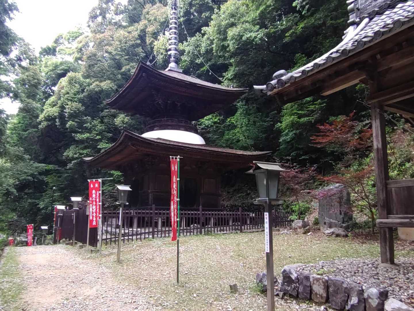 高沢山・大仏山・本城山 / brassicaさんの高沢山・平成山・高曝山の活動データ | YAMAP / ヤマップ