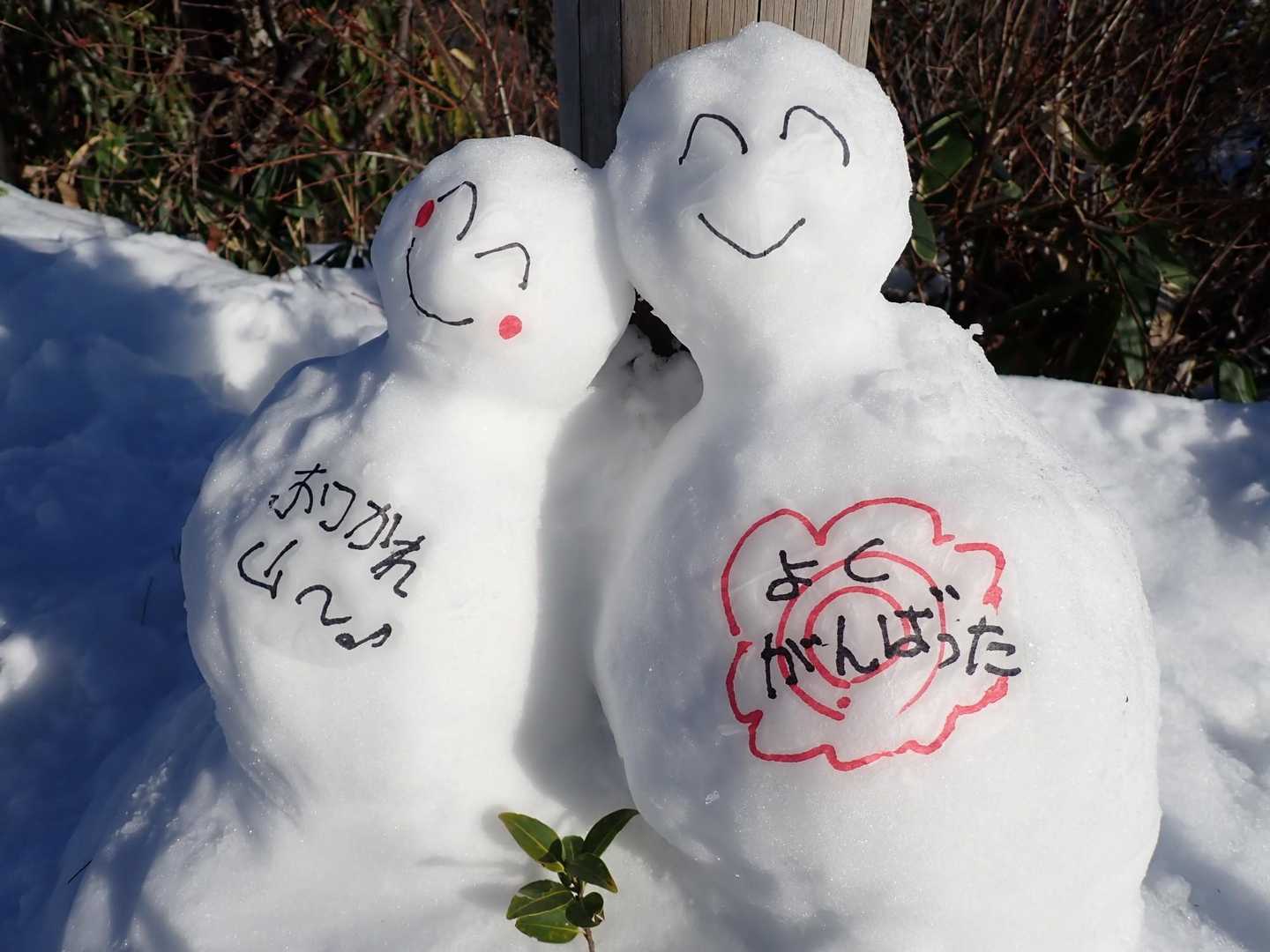 今年も見れました。densukeさんのトトロ🥰 / シナモンさんの鞍掛山・後山・三童子山の活動データ | YAMAP / ヤマップ