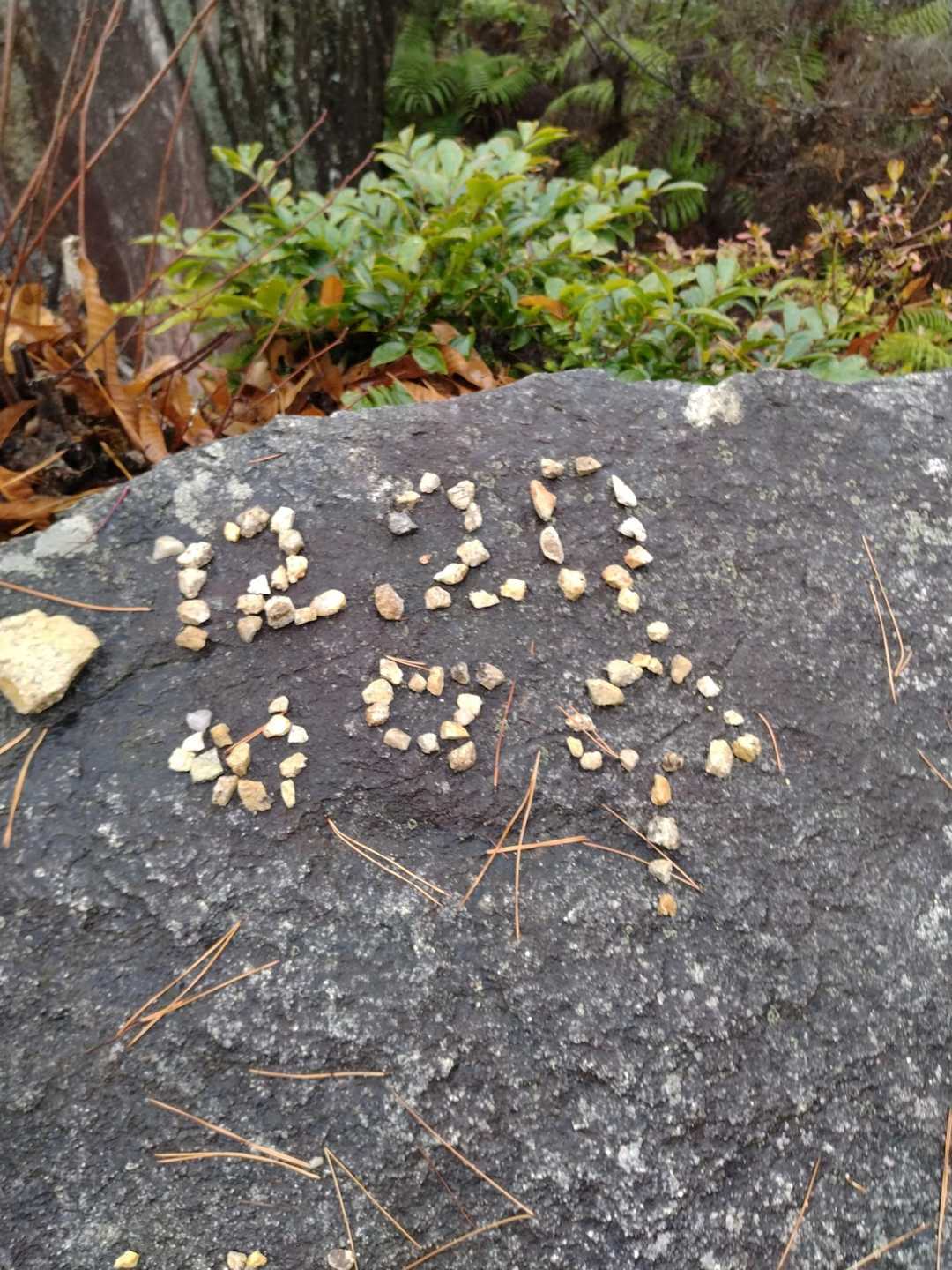 今年最後の山登り😁 / ユーザーハブヒデさんのウォーキングの活動データ | YAMAP / ヤマップ