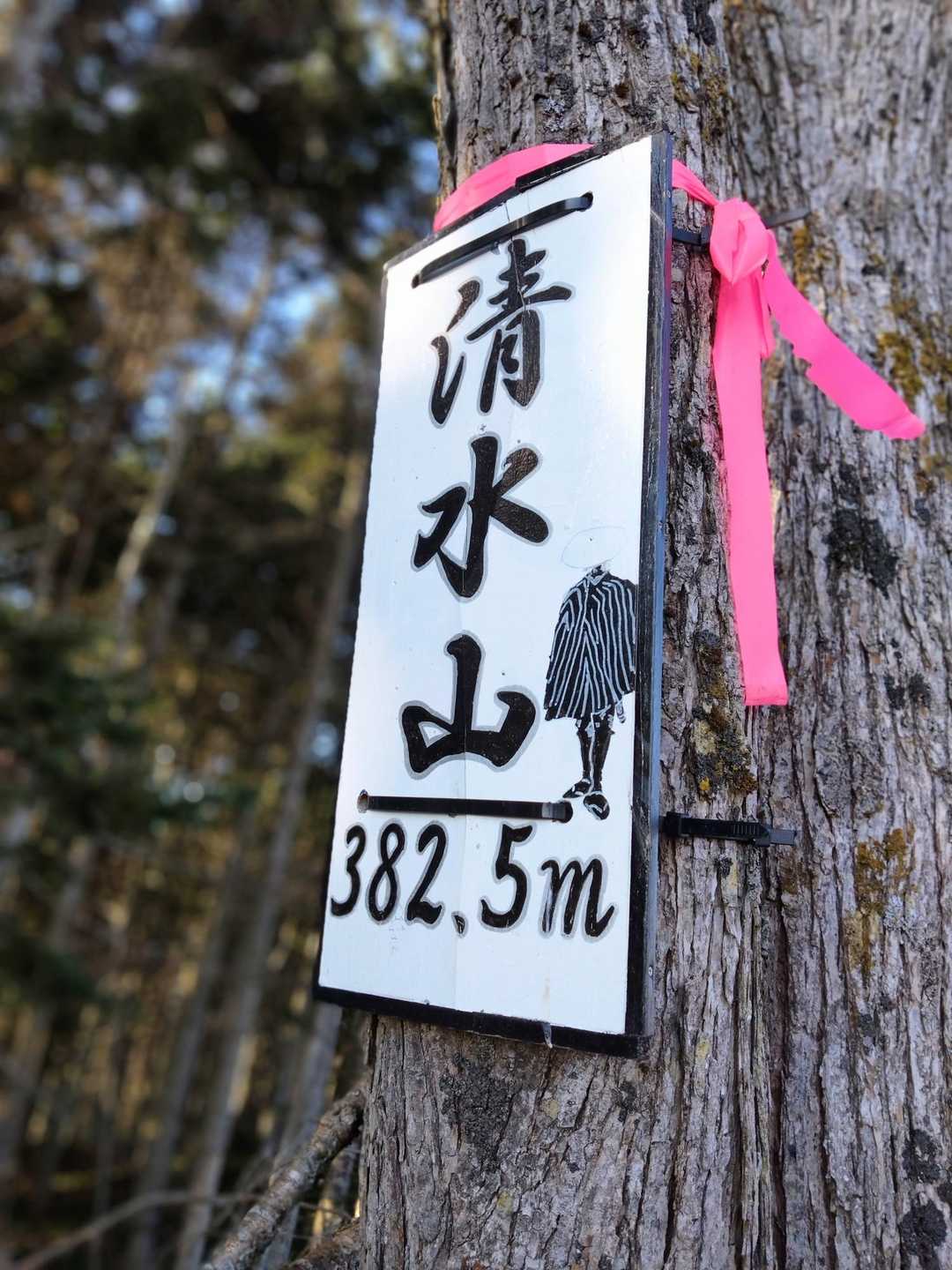 清水山 / kiyo-ibaさんの班渓幌内山・丸子山・神居山の活動データ | YAMAP / ヤマップ