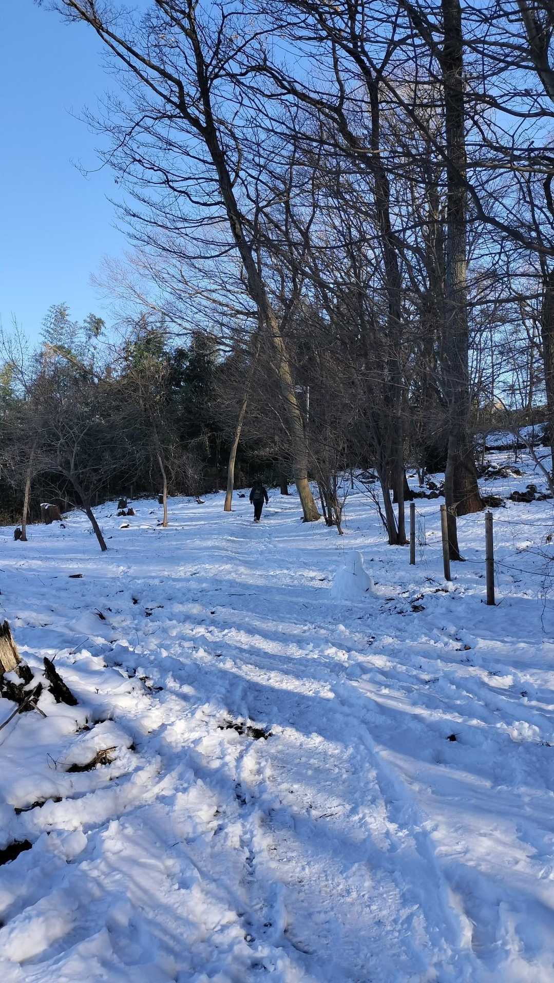 つどいの森公園と竜泉寺の湯 / toshi330さんの八王子市の活動データ | YAMAP / ヤマップ