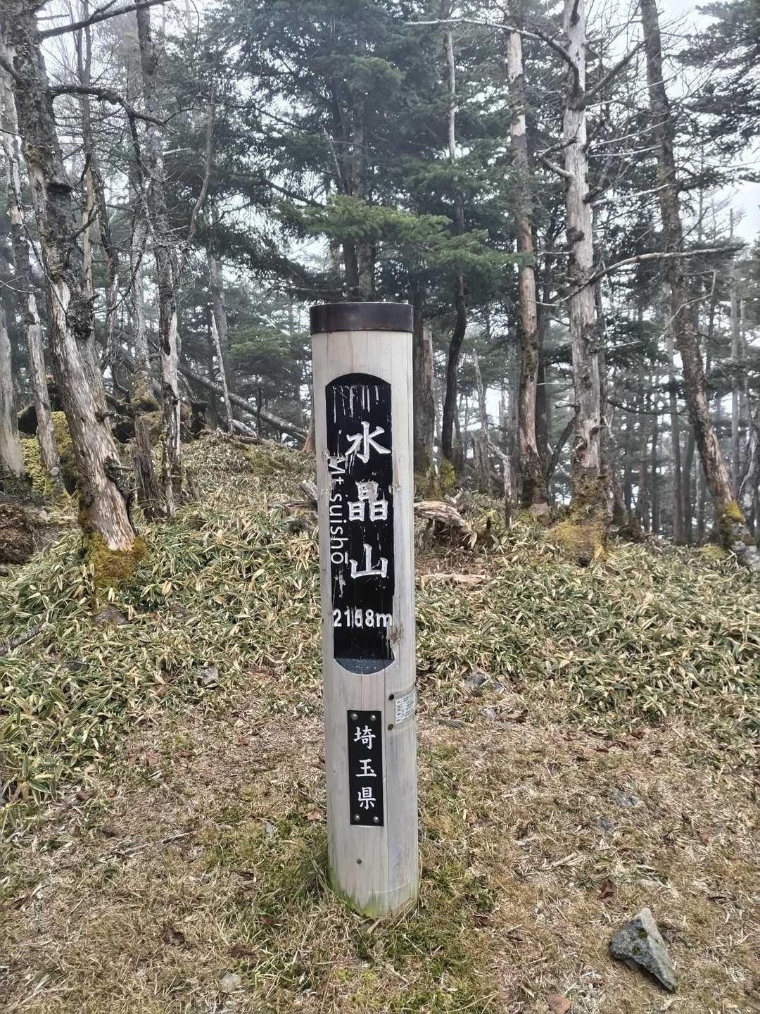 水晶山🎗️甲斐百🔚 / Rioさんの和名倉山・笠取山・東仙波の活動データ | YAMAP / ヤマップ