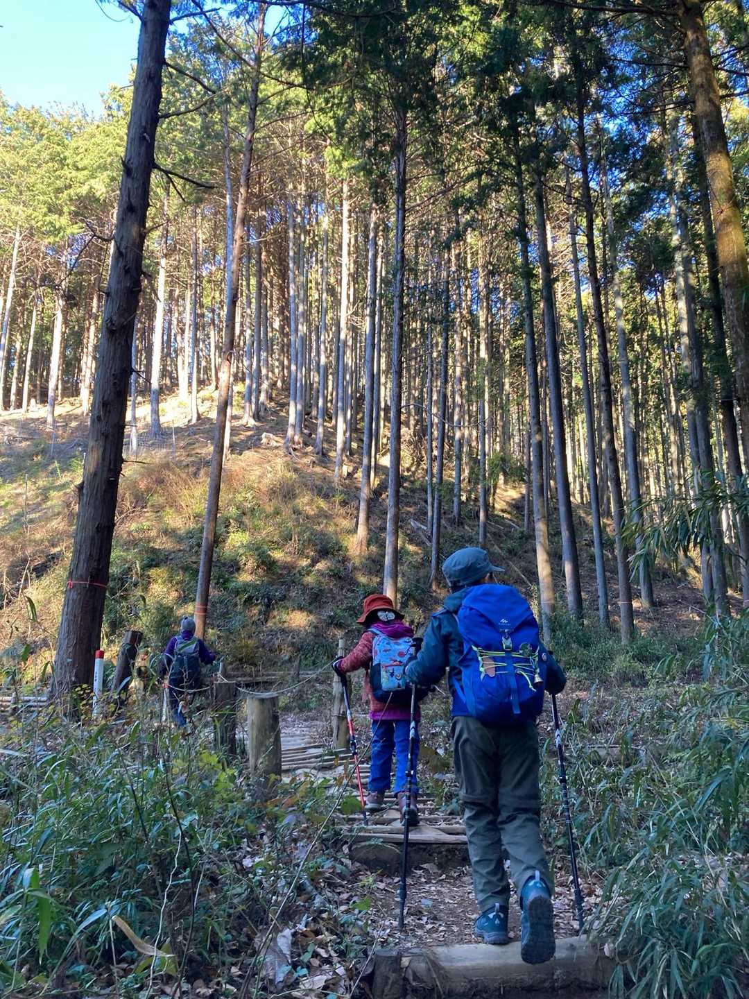 鍋割山 登頂できず😭 / gyamaさんの塔ノ岳・丹沢山・蛭ヶ岳の活動データ | YAMAP / ヤマップ