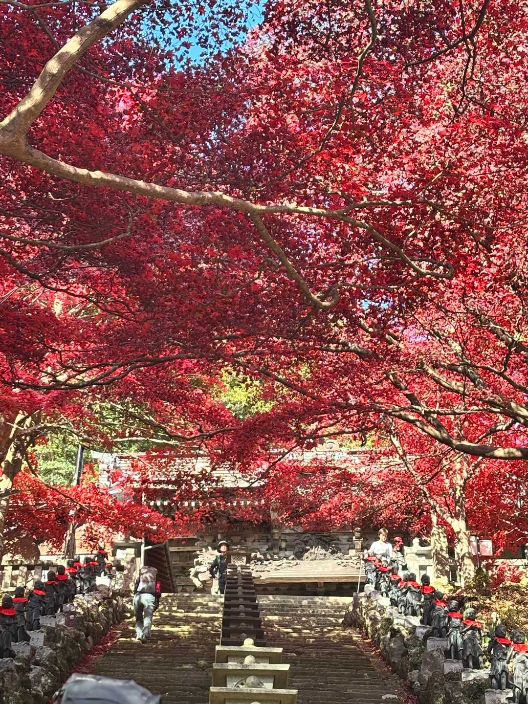 紅葉狩り🍁 大山 / michi さんの大山の活動データ | YAMAP / ヤマップ