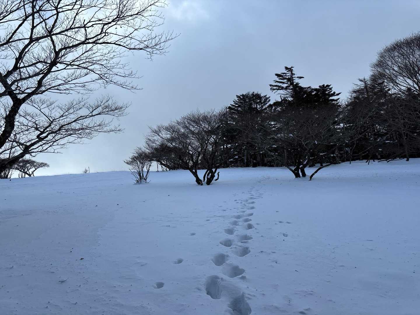 癒しの温泉郷から三嶺、暴風で撤退 / おさむし☆彡さんの三嶺・天狗塚・石立山の活動データ | YAMAP / ヤマップ