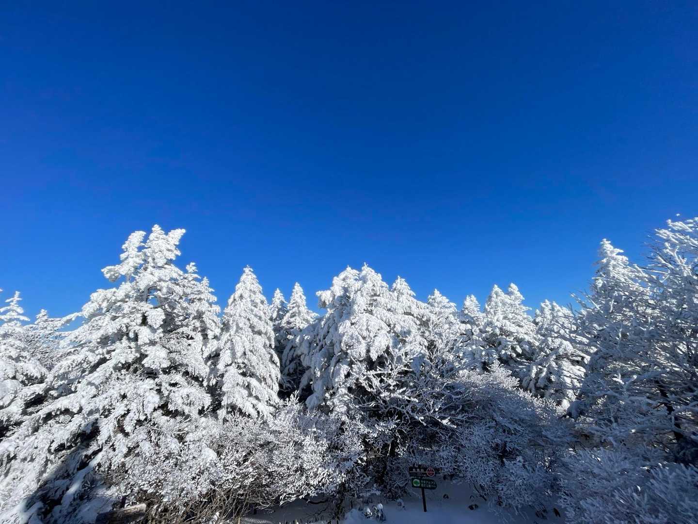 恵那山 / sinさんの恵那山・大判山・神坂山の活動データ | YAMAP / ヤマップ