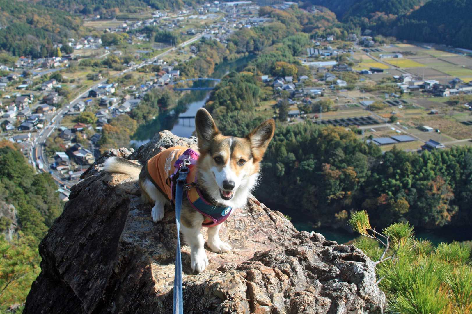 遠見山 / 登龍犬兎さんの権現山（御嶽山）の活動データ | YAMAP / ヤマップ