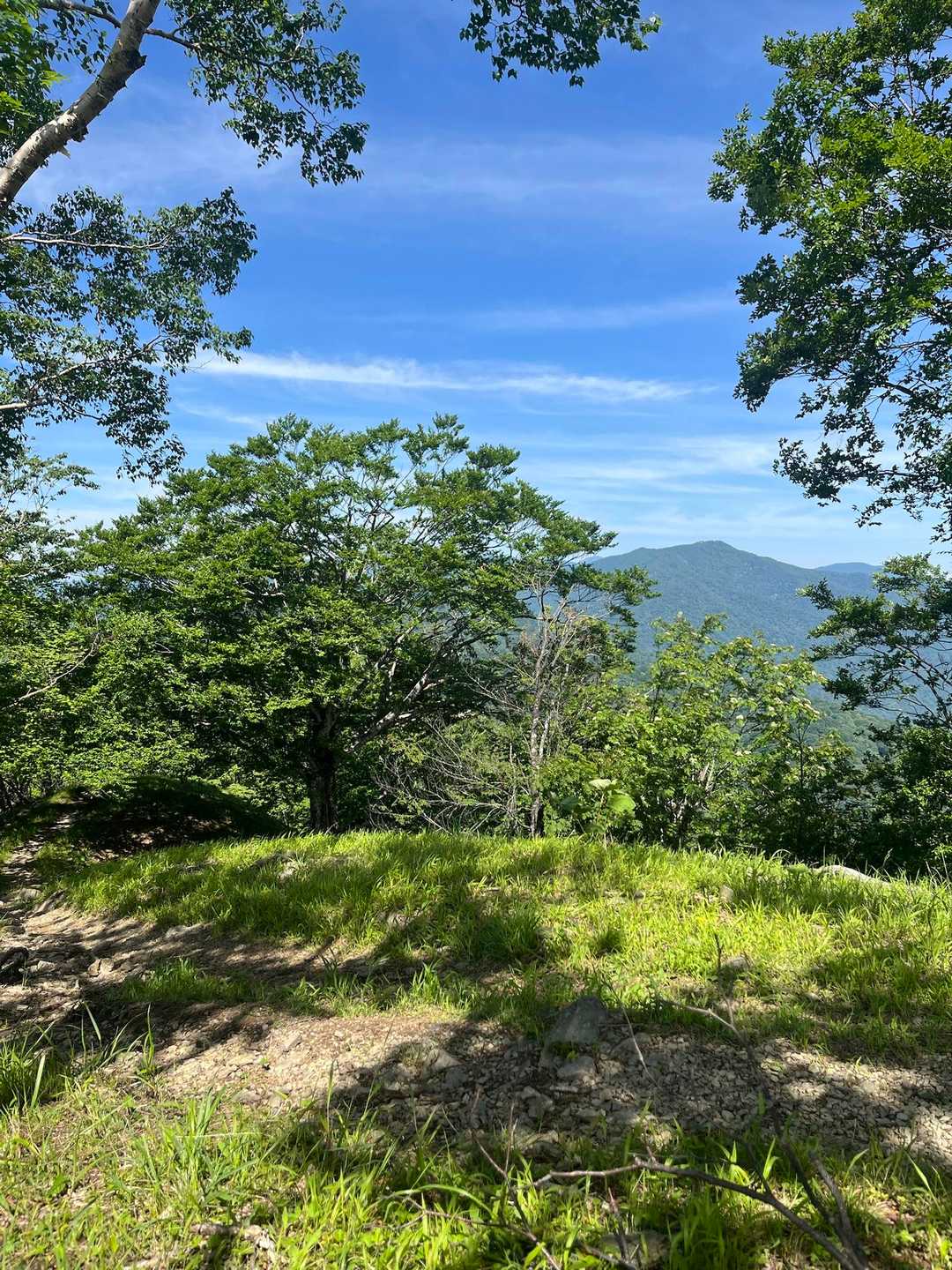 榛ノ木尾山（扇ツ平）・長尾ノ頭・六ツ石山・将門馬場・カラ沢ノ頭・城山・水根山・鷹ノ巣山 / T.sunadaさんの雲取山・鷹ノ巣山・七ツ石山の ...