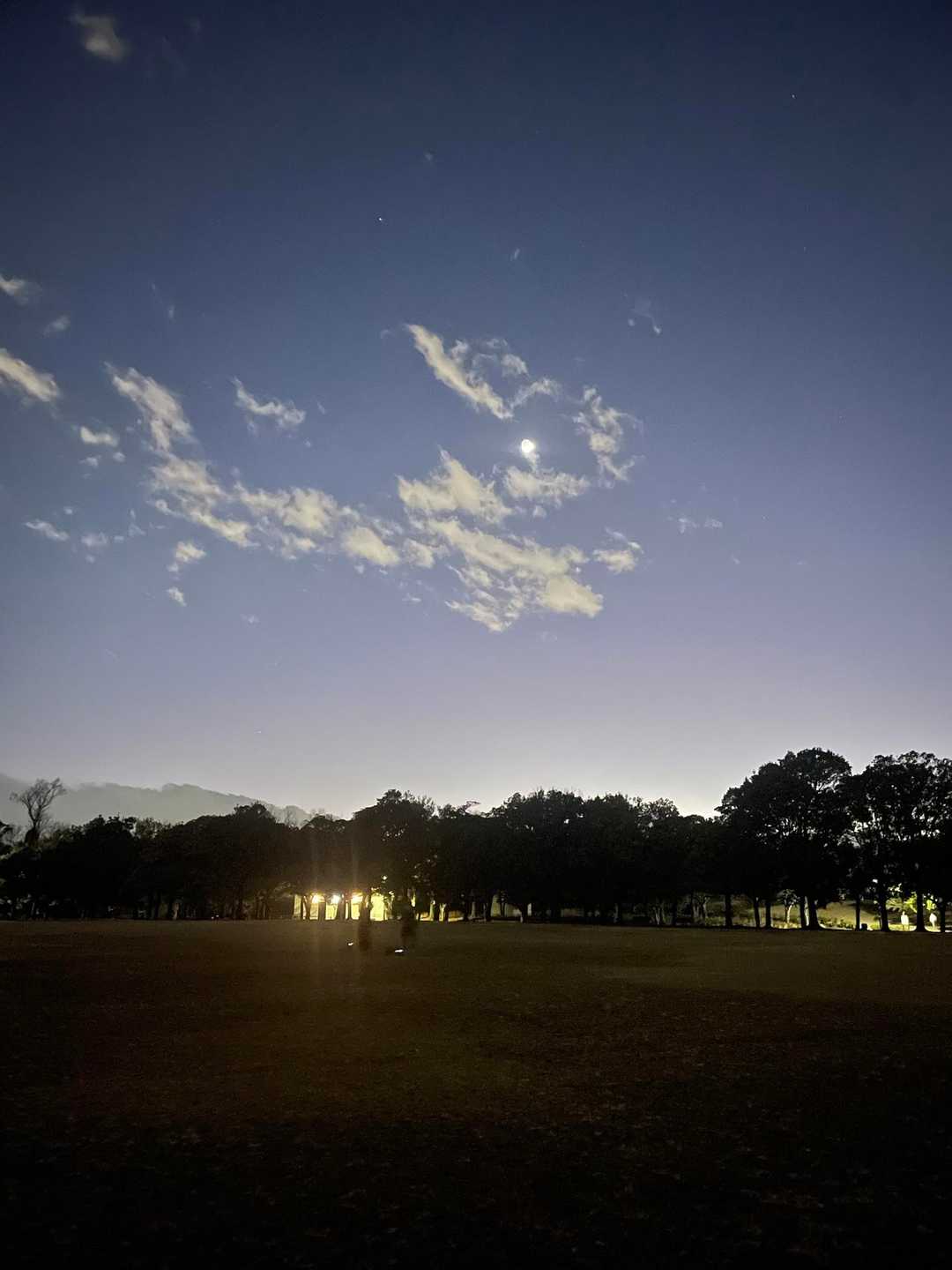 三ツ沢下町から岸根公園・片倉町を経て三ツ沢下町へ / s06007さんの川崎市の活動データ | YAMAP / ヤマップ
