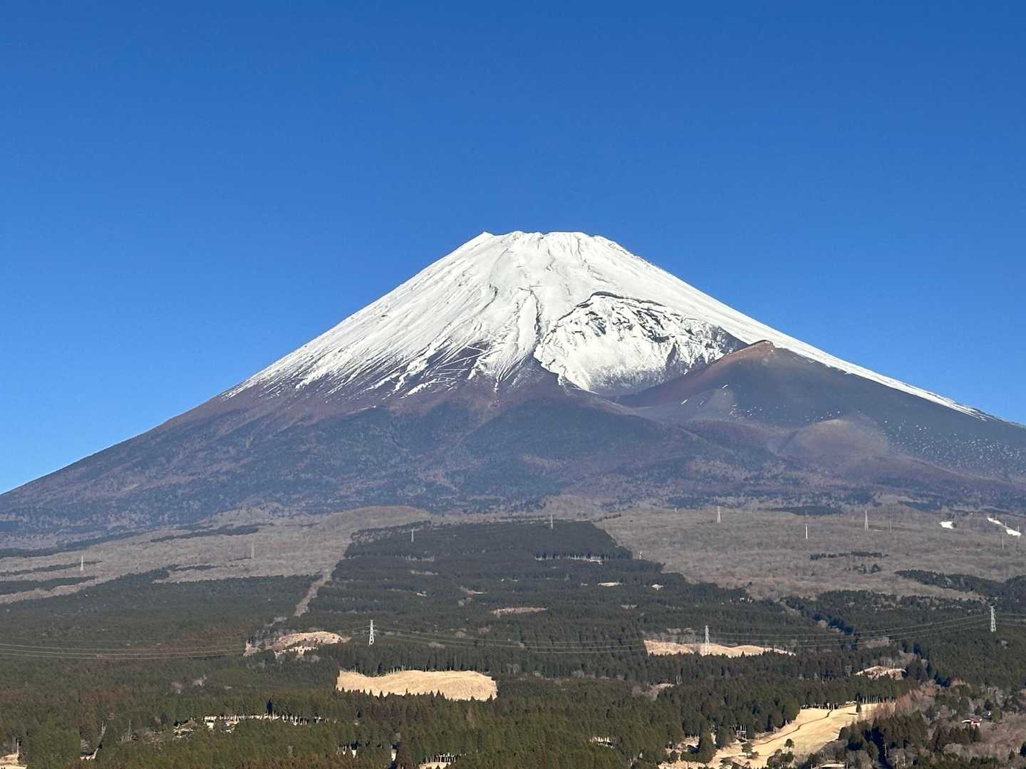 登り初め『越前岳』 / pururinさんの愛鷹山・大岳・黒岳の活動データ | YAMAP / ヤマップ