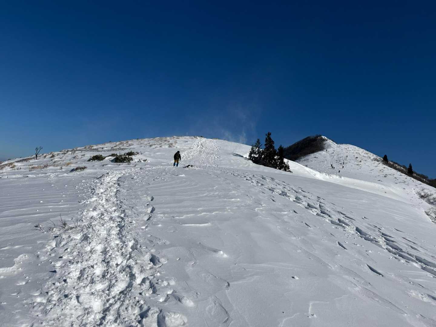 雪☃️武奈ヶ岳🏔️ / ともこさんの比良山地・武奈ヶ岳・釈迦岳の活動データ | YAMAP / ヤマップ