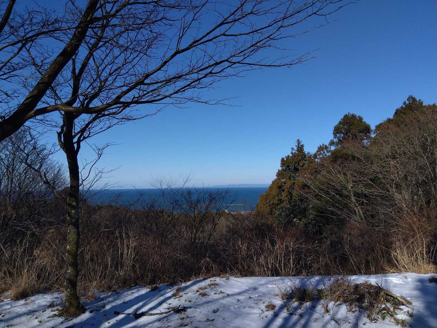 赤坂山 / まっさんさんの赤坂山の活動データ | YAMAP / ヤマップ