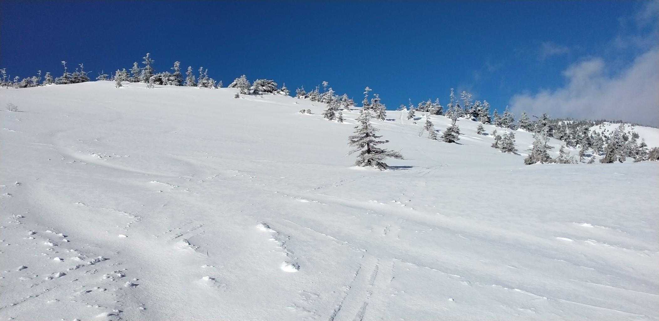 神楽ヶ峰の山スキー / 絹雲さんの苗場山・赤倉山・佐武流山の活動データ | YAMAP / ヤマップ