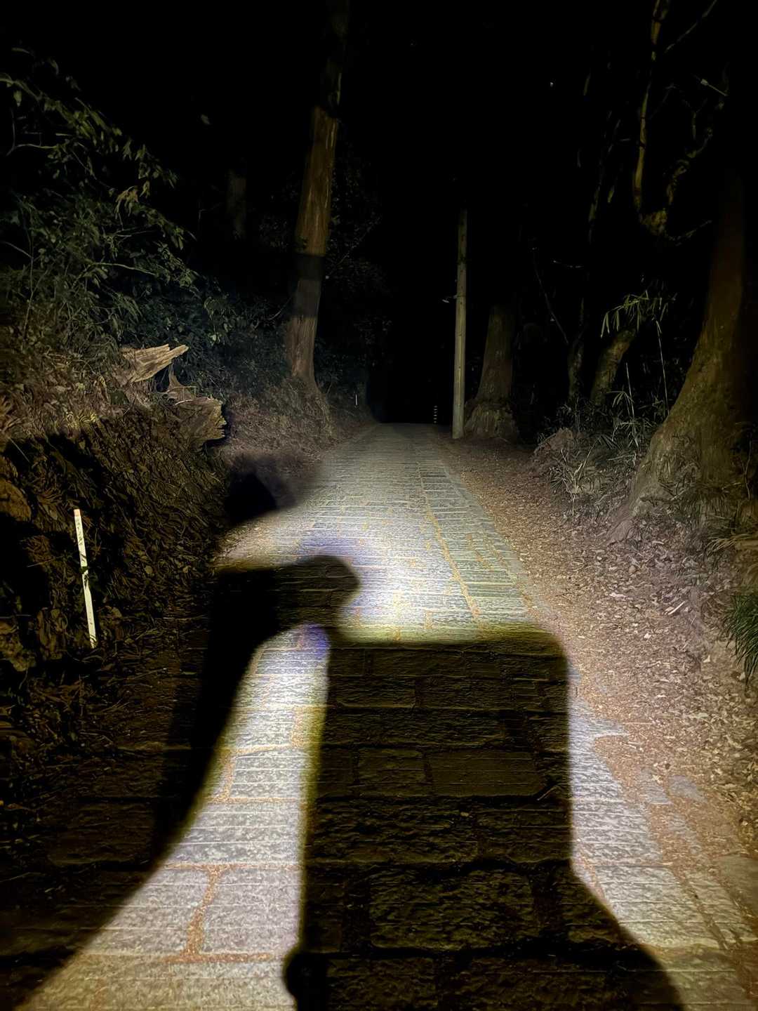 日の出。満足。神変山・高尾山 / Hiro.tさんの高尾山・陣馬山・景信山の活動データ | YAMAP / ヤマップ