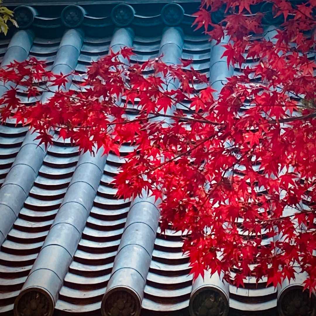 宝塚の愛宕神社と鉄斎美術館を訪ねて / Nobuさんの中山・大峰山の活動データ | YAMAP / ヤマップ