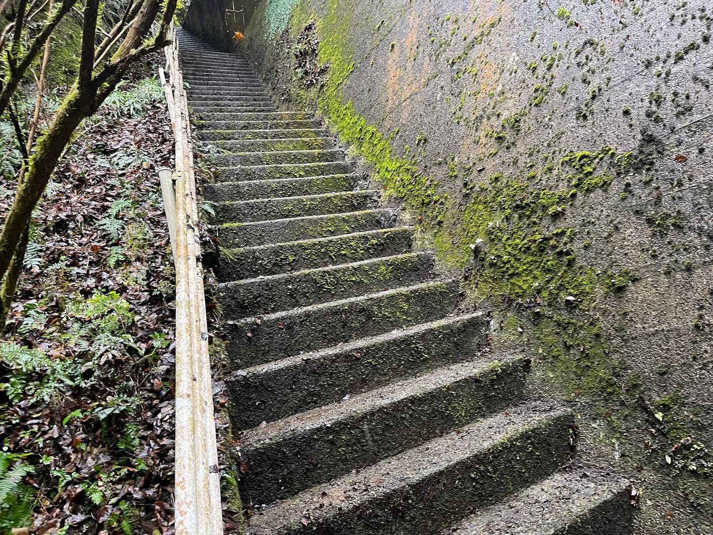 雪彦山-2025-12-25 / ユーザーたつさんの雪彦山の活動データ | YAMAP / ヤマップ