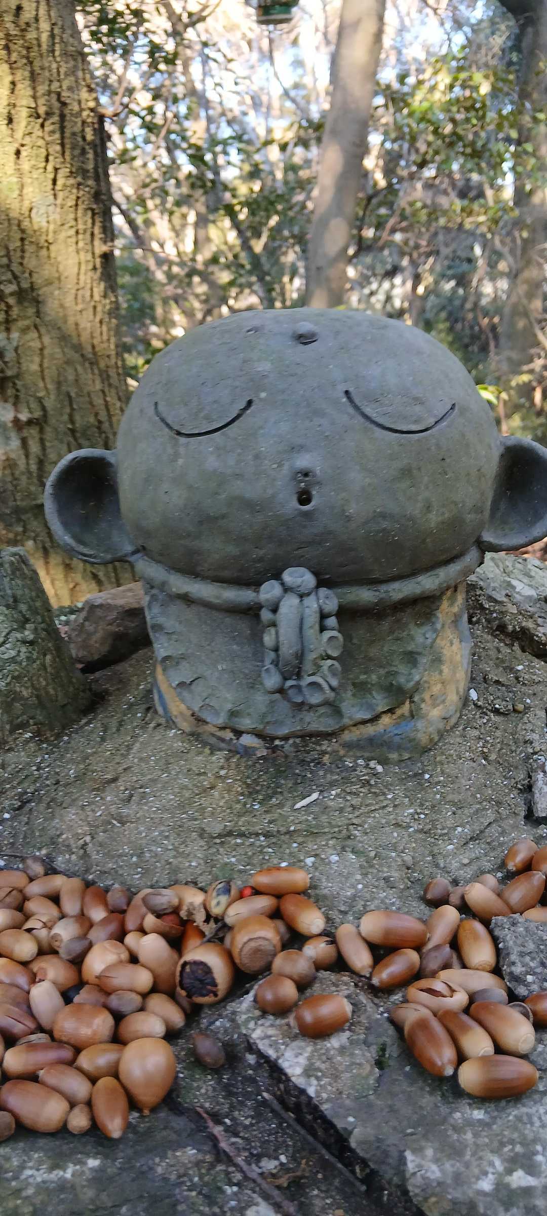 嵩山・神石山 / のんきちさんの坊ヶ峰・石巻山・神石山・葦毛湿原の活動データ | YAMAP / ヤマップ
