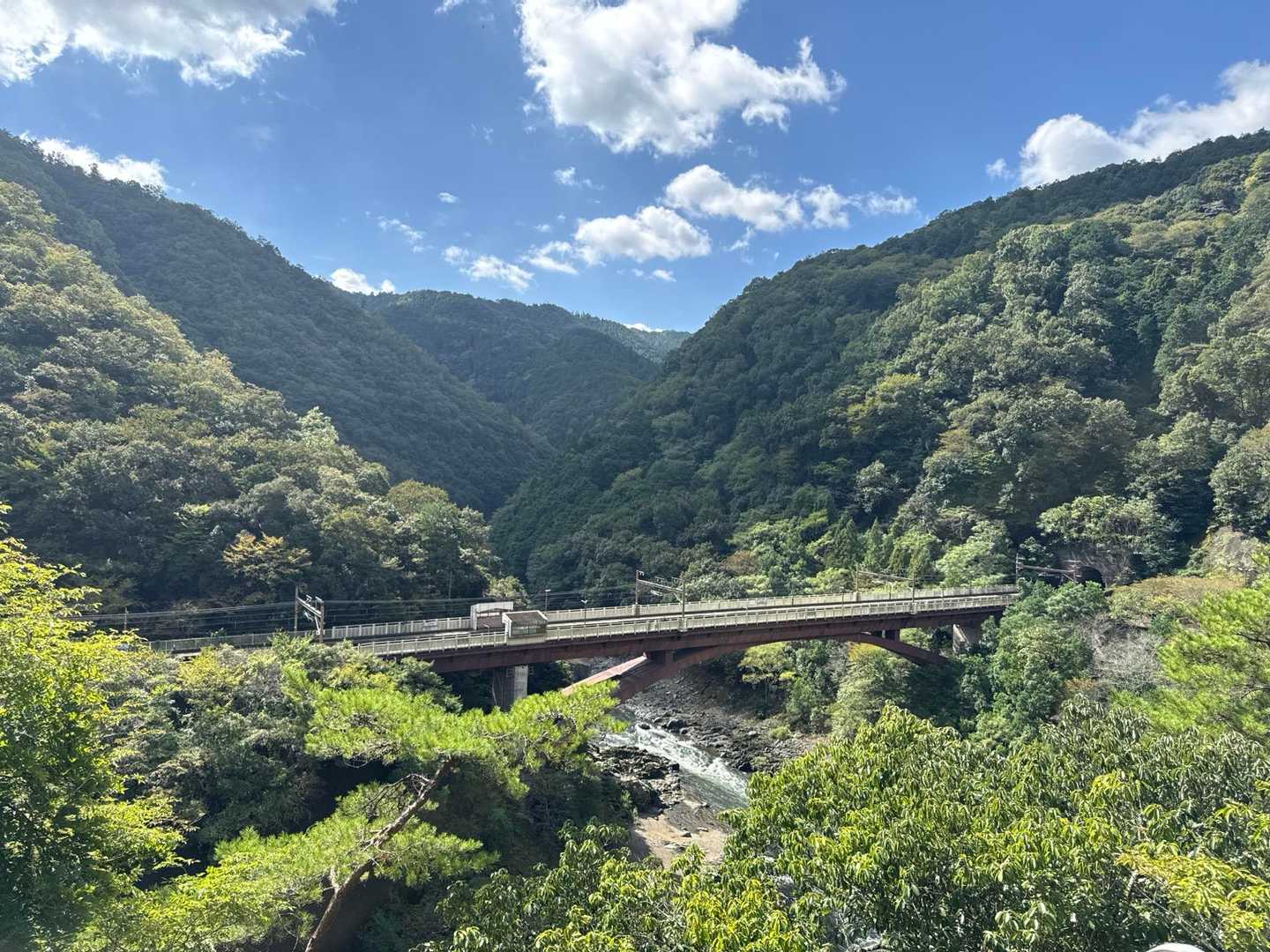 焼肉竹の親父の山歩記 保津峡駅から嵯峨嵐山駅迄縦走(京都府)最初ちょろちょろ中パッパ、最後は賑やか華やかインバウンドワールドへ / 鬼眞さんの ...