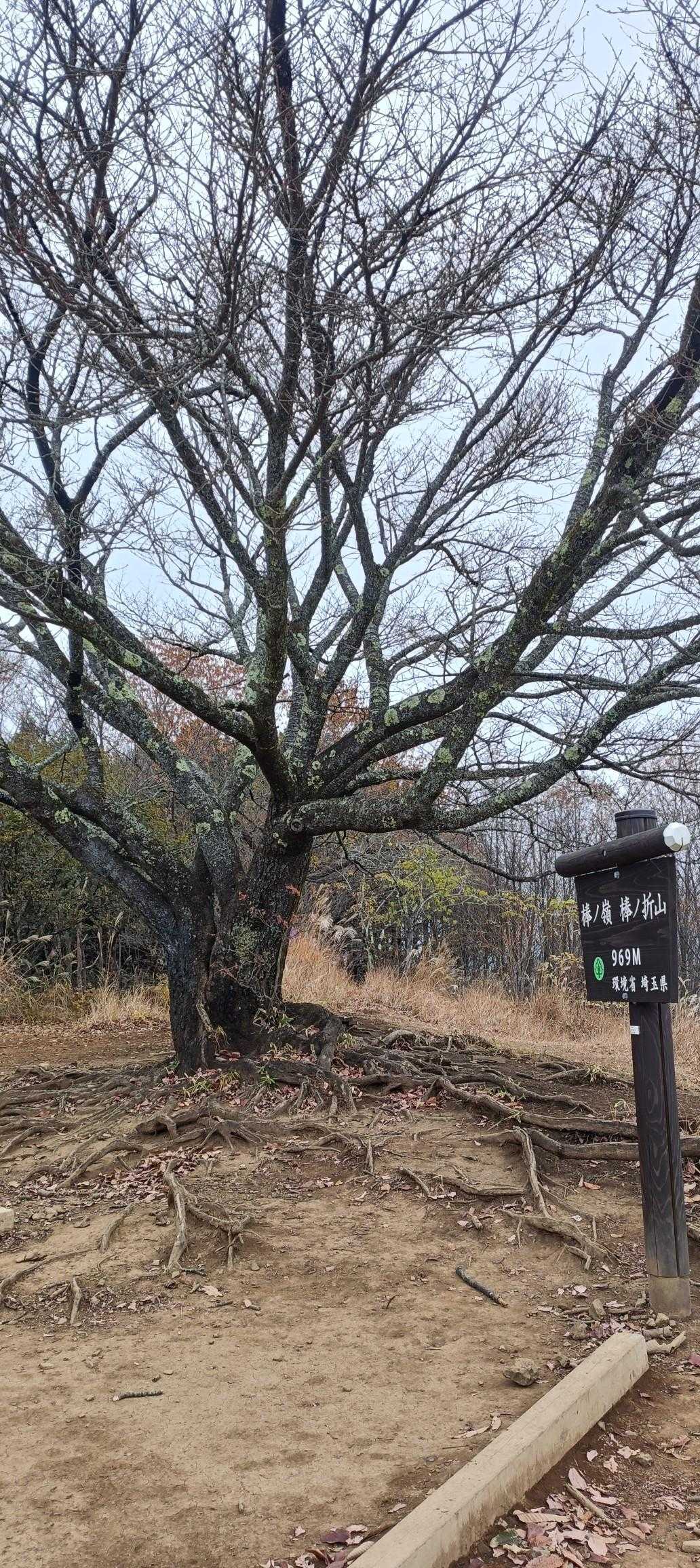 棒ノ折山で滝マッチョ / しゅうさんの棒ノ折山（棒ノ嶺）の活動データ | YAMAP / ヤマップ