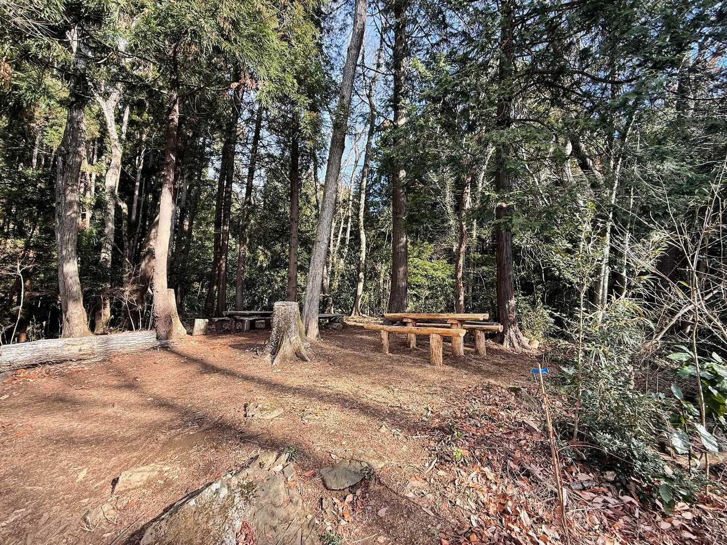 小町山2025.12.29 / 沙織さんの宝篋山・富岡山の活動データ | YAMAP / ヤマップ