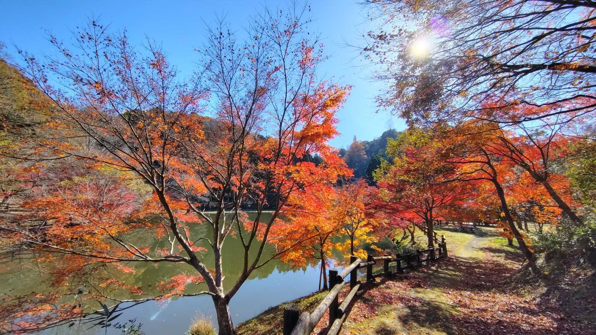 霊山 / Jasperさんの障子岳・霊山・飛来山・本宮山の活動データ | YAMAP / ヤマップ