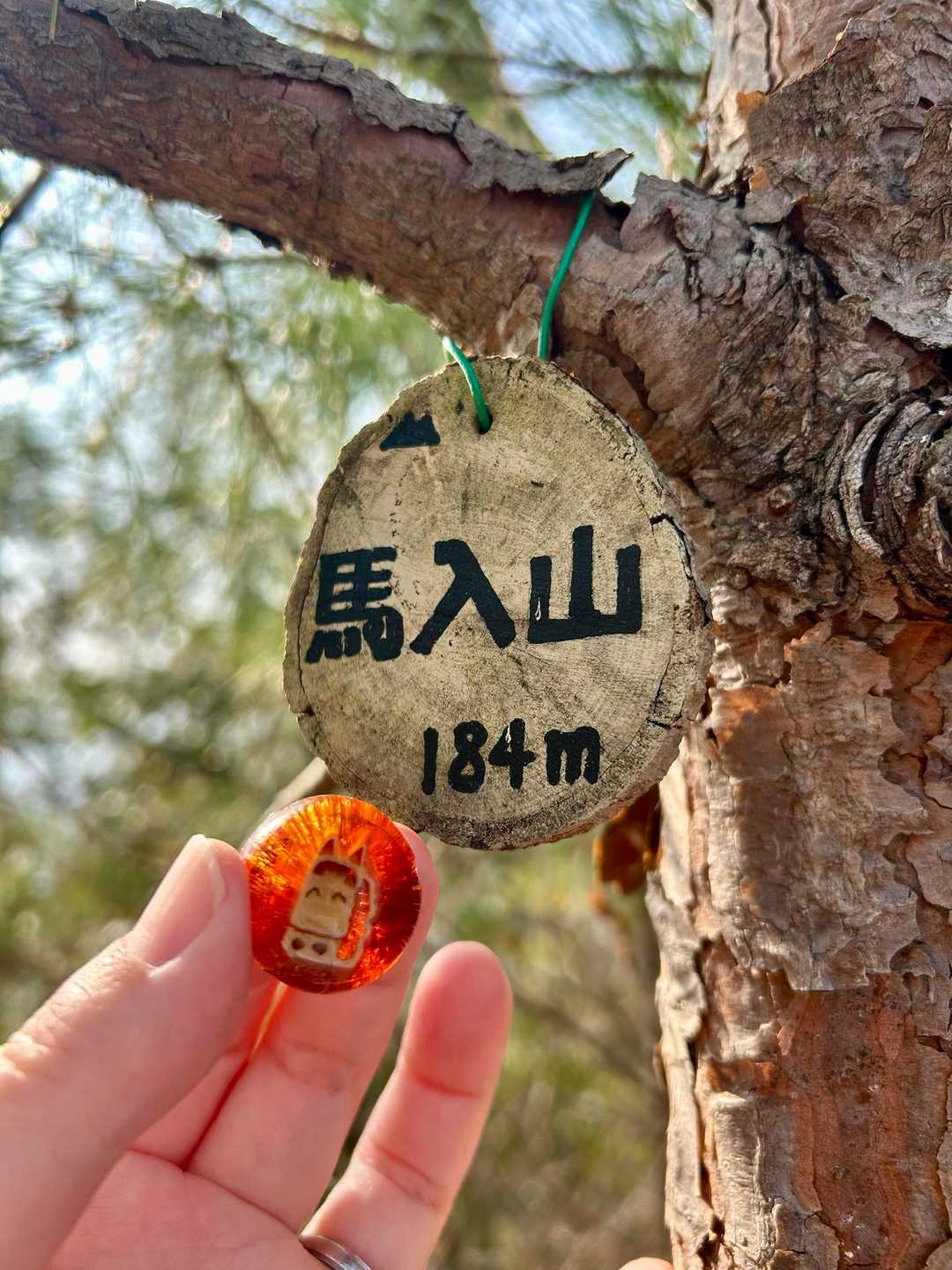 伊與部山・木村山・馬入山（干支の山を探して🐴） / coco☺︎さんの伊與部山・木村山・馬入山の活動データ | YAMAP / ヤマップ