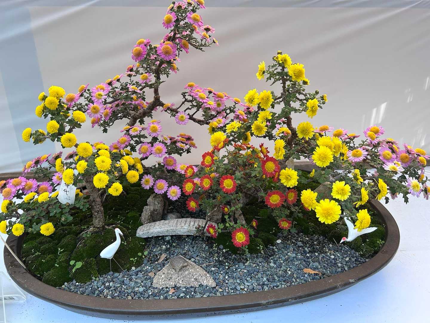 おさんぽ @深大寺植物園 / meguさんのウォーキングの活動データ | YAMAP / ヤマップ