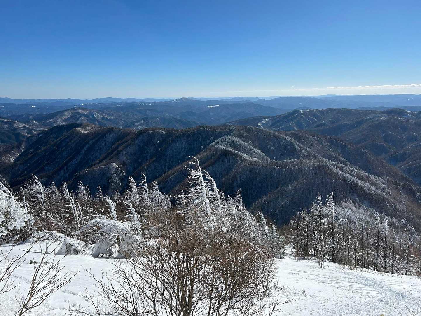横岳・大川入山 / bopharさんの大川入山・横岳の活動データ | YAMAP / ヤマップ