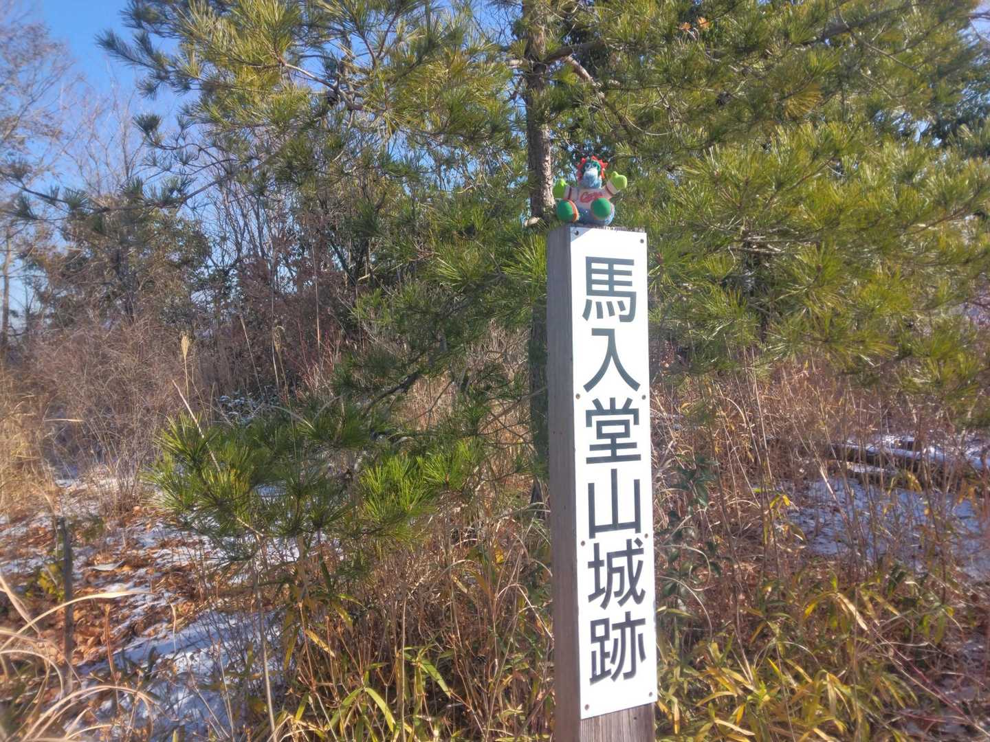 伊與部山・馬入山・木村山 / ふじもんさんの伊與部山・木村山・馬入山の活動データ | YAMAP / ヤマップ