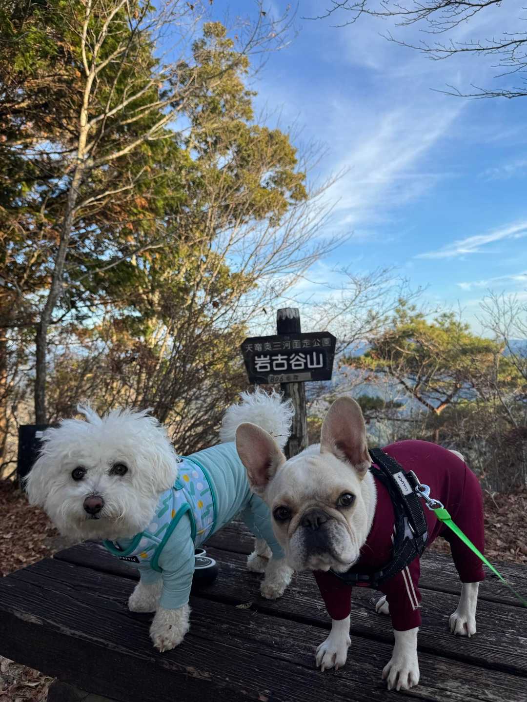 岩古谷山 / monさんの宇連山・鳳来寺山・岩古谷山の活動データ | YAMAP / ヤマップ