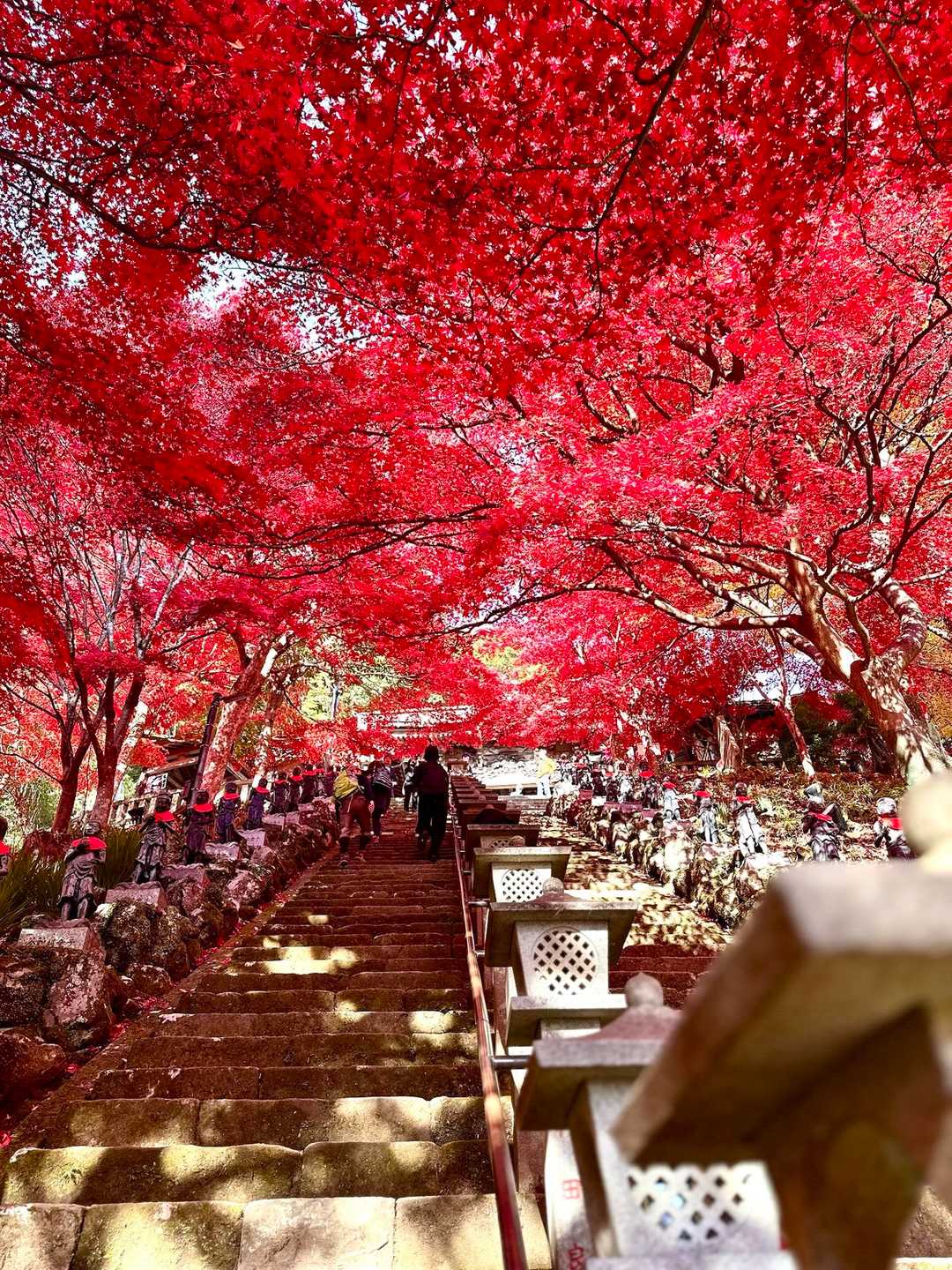 大山 / Amyさんの大山の活動データ | YAMAP / ヤマップ