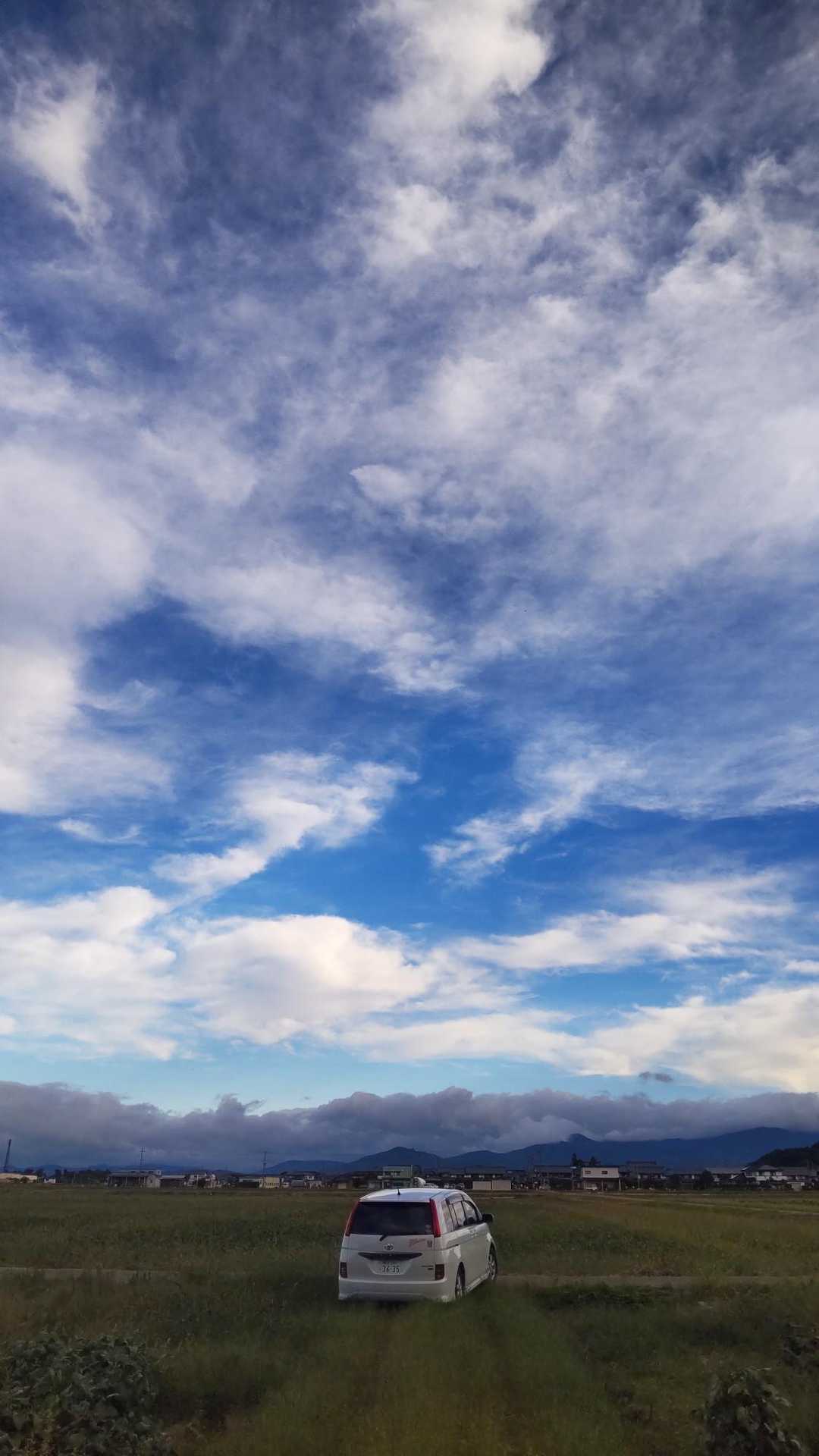 歌岡山 瞬殺GET失敗なんで😭 / 金さんさんの鳥羽上山・横山の活動データ | YAMAP / ヤマップ