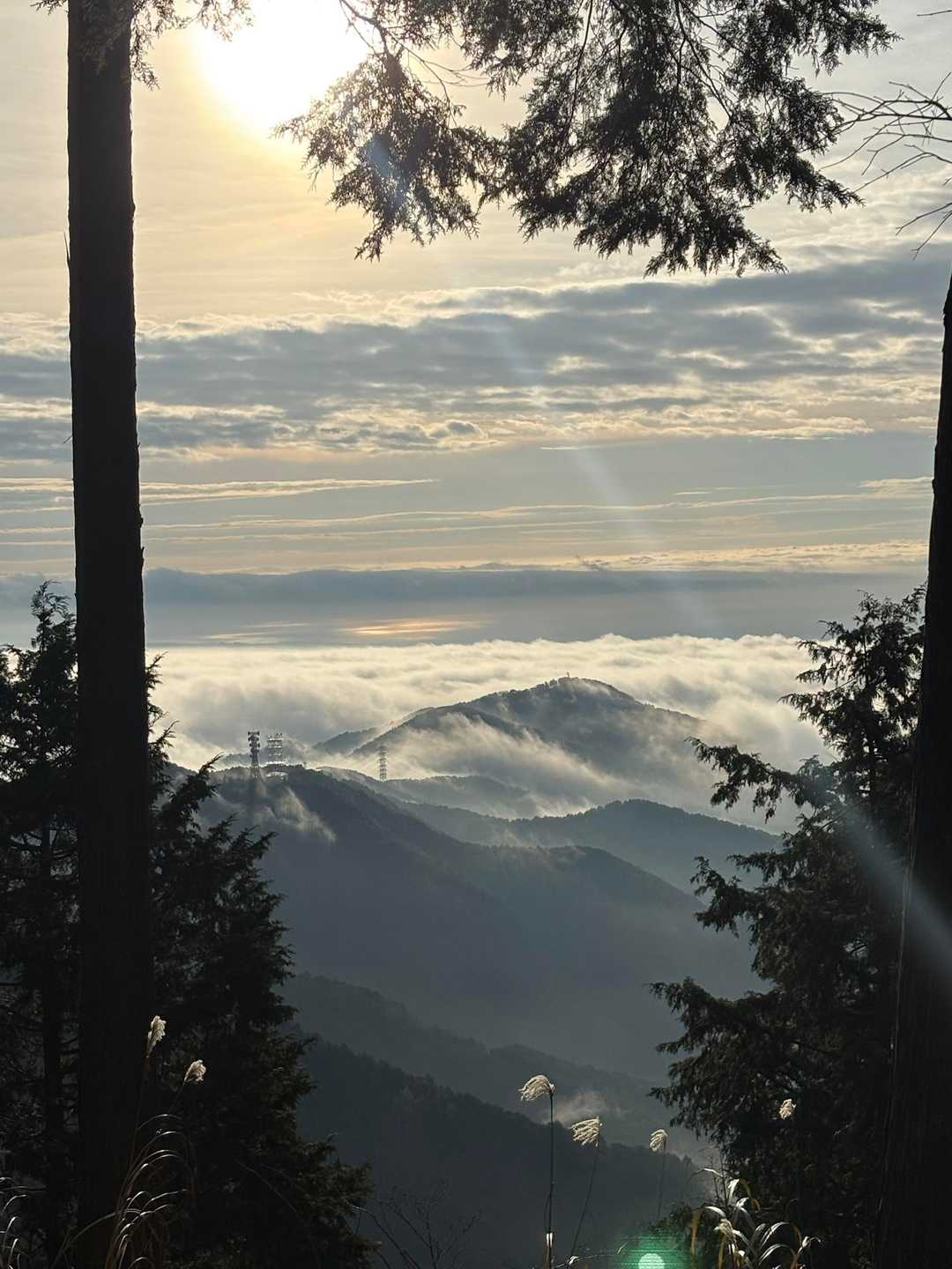 ヤビツ峠から大山散歩に行ってみた⛰️ / かっきんさんの塔ノ岳・丹沢山・蛭ヶ岳の活動データ | YAMAP / ヤマップ