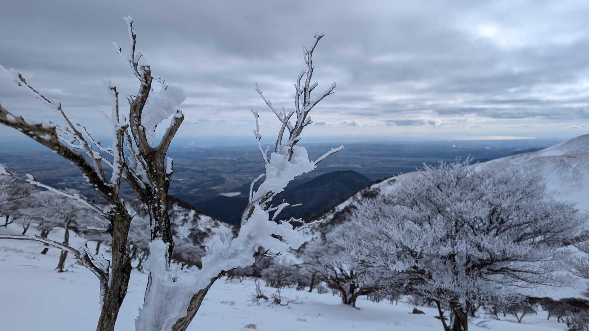 竜ヶ岳 / kitamiさんの竜ヶ岳の活動データ | YAMAP / ヤマップ