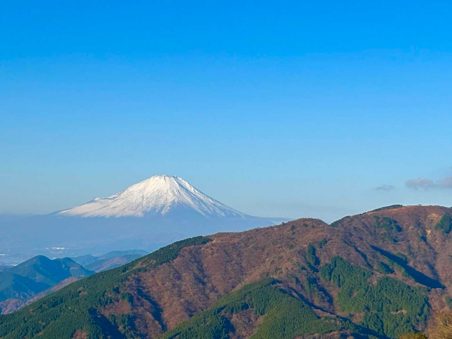 大山 / JOEさんの大山の活動データ | YAMAP / ヤマップ