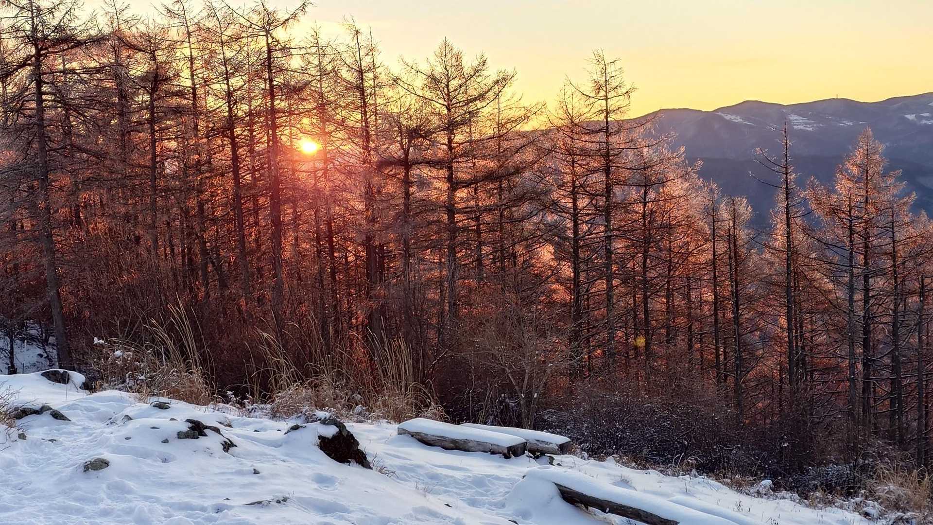 土曜日朝活は116回目の守屋山ご来光🌅 / たつさんの守屋山の活動データ | YAMAP / ヤマップ