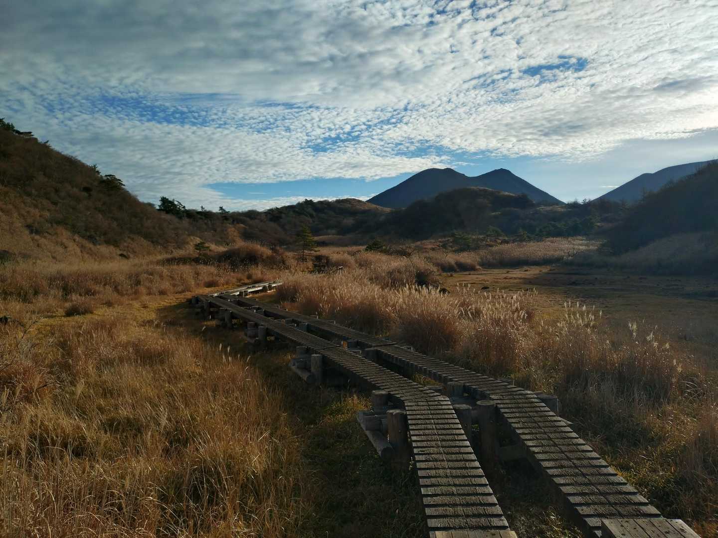 北大船山・大船山・立中山・白口岳 / tomo_ADVさんの九重山（久住山）・大船山・星生山の活動データ | YAMAP / ヤマップ