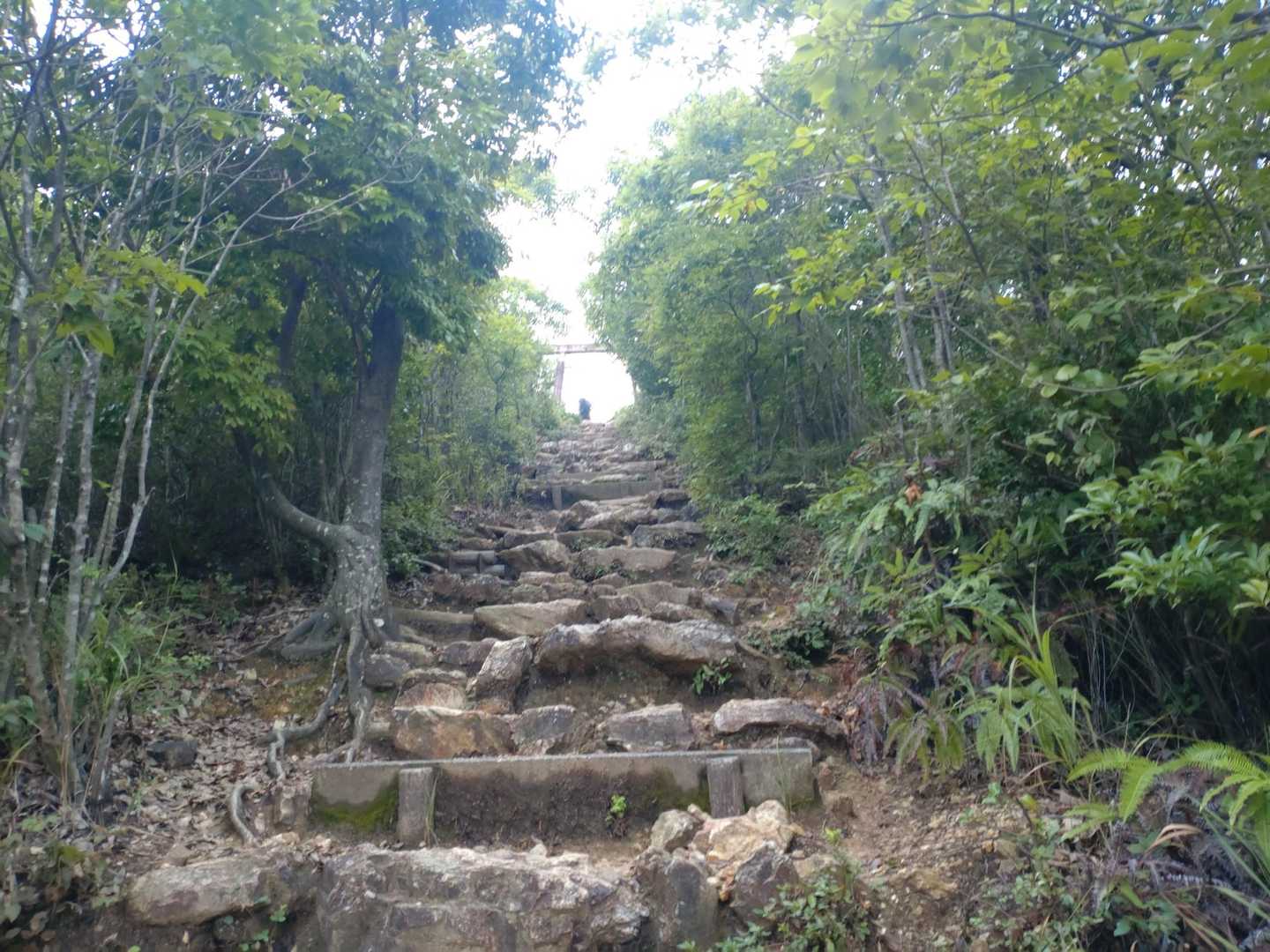 各務原権現山・北山 / brassicaさんの各務原アルプス（関南アルプス）・八木三山の活動データ | YAMAP / ヤマップ